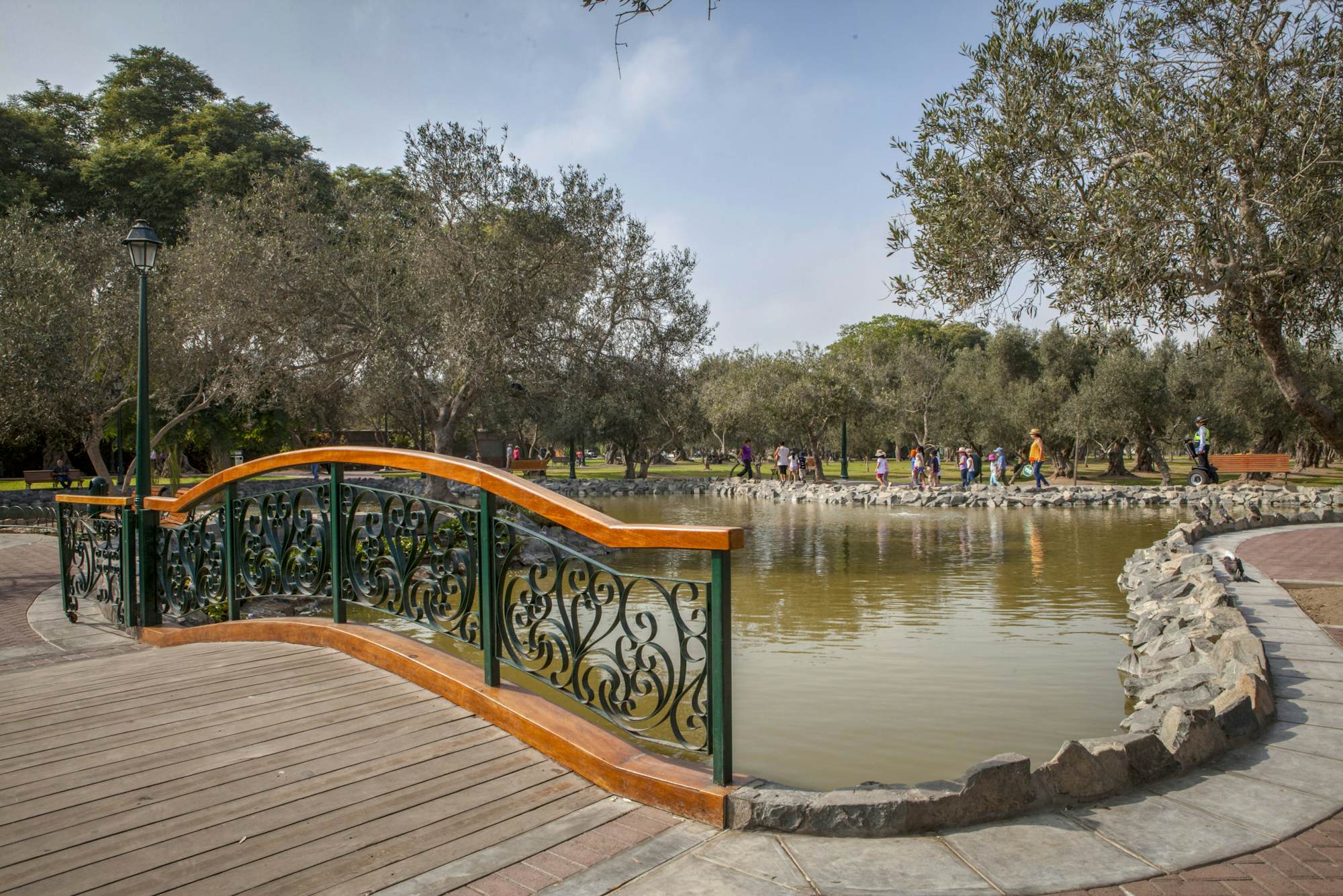Bosque El Olivar | , Peru | Attractions - Lonely Planet