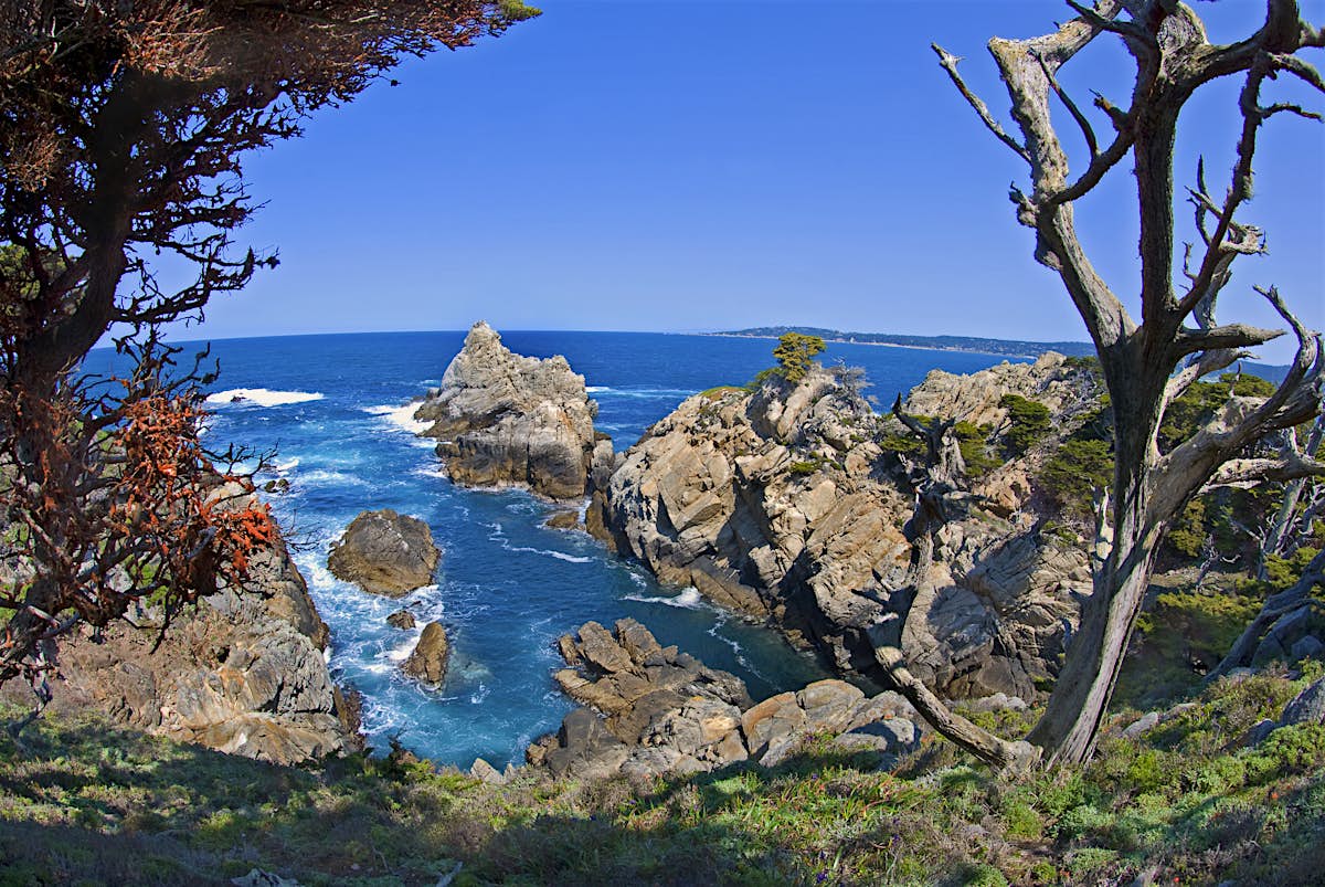 Point Lobos State Natural Reserve | Carmel-by-the-Sea, USA Attractions ...