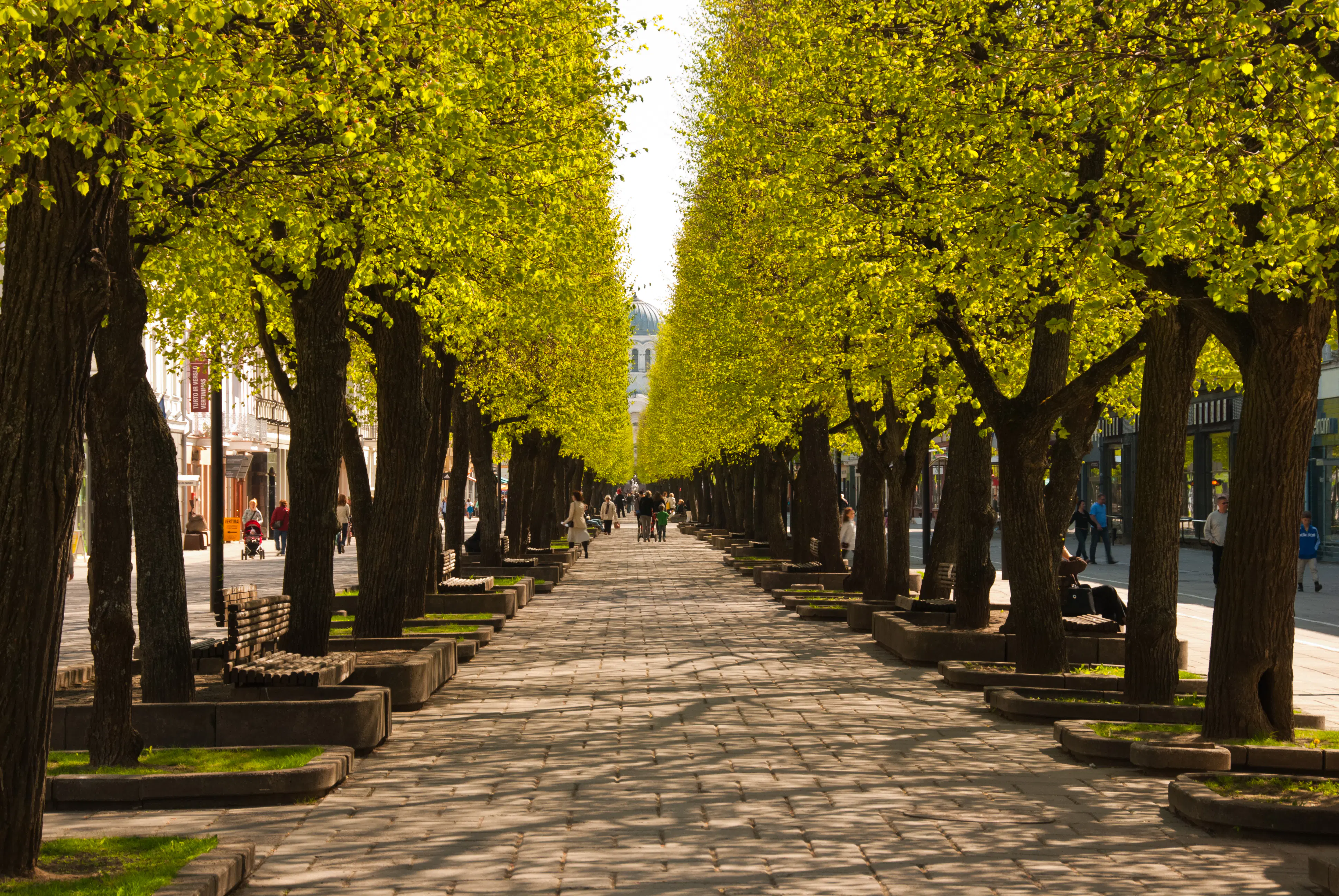 Lithuania travel - Lonely Planet | Europe