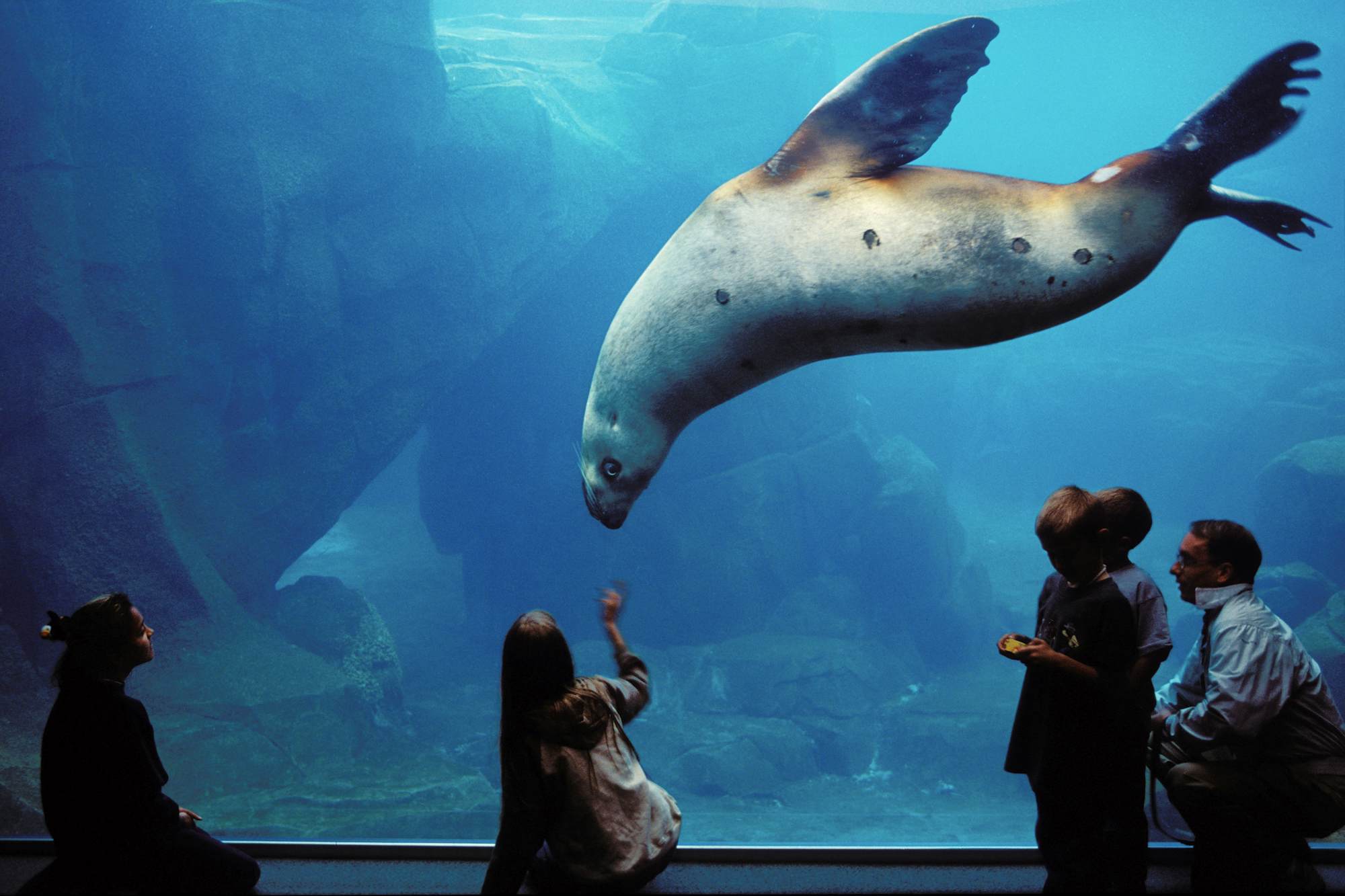 Alaska Sealife Center | , USA | Sights - Lonely Planet