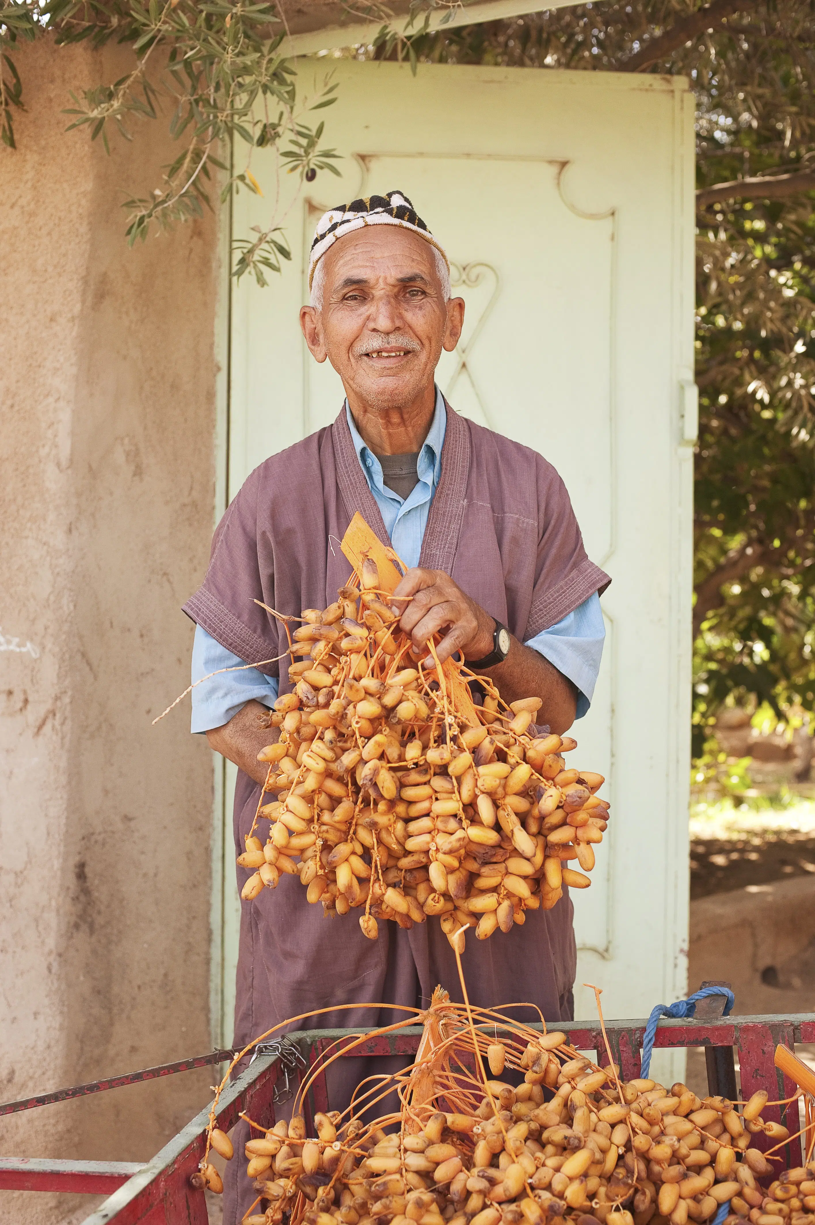 Mediterranean Coast & the Rif Mountains travel - Lonely Planet ...