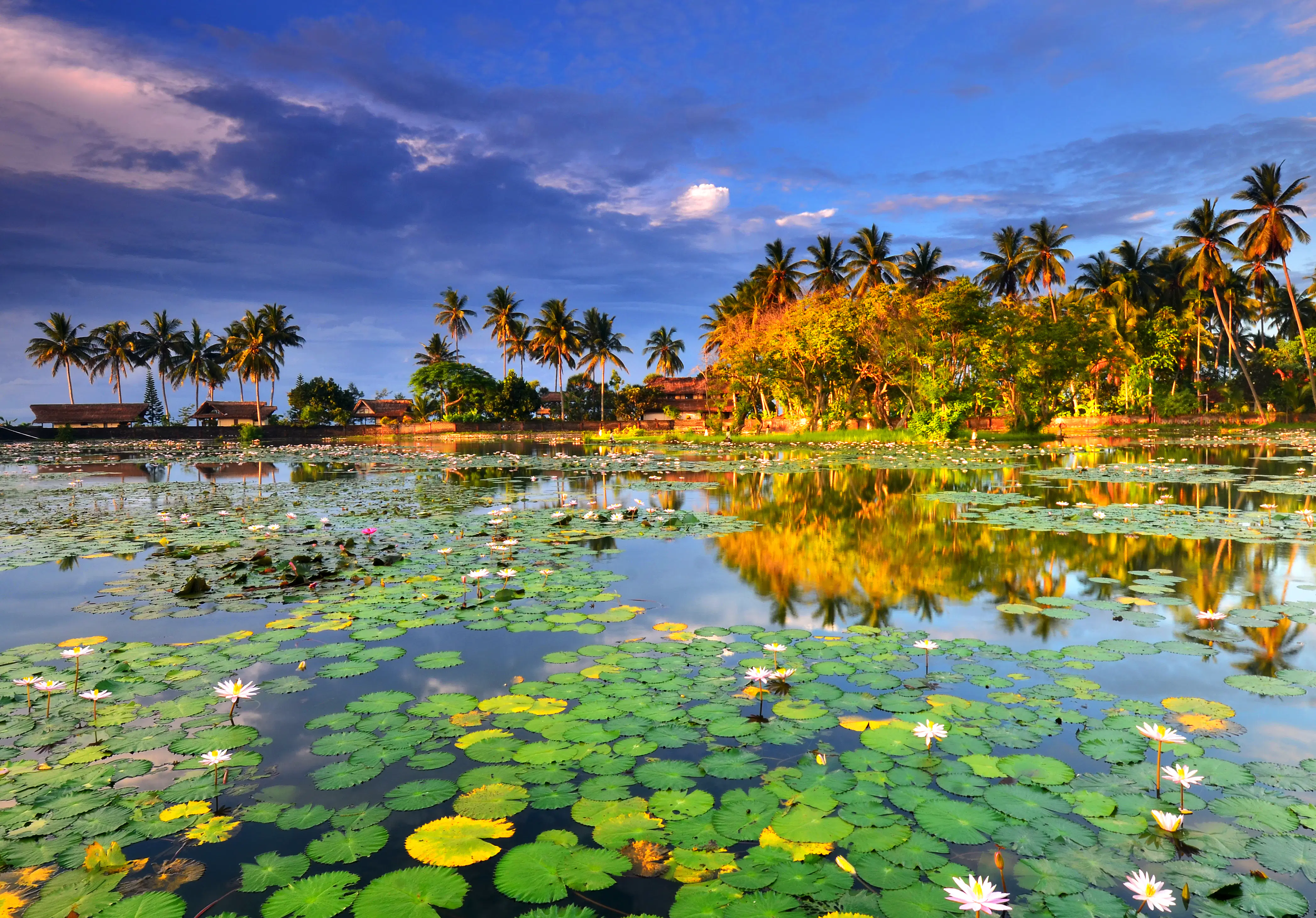 Candidasa travel - Lonely Planet | Indonesia, Asia