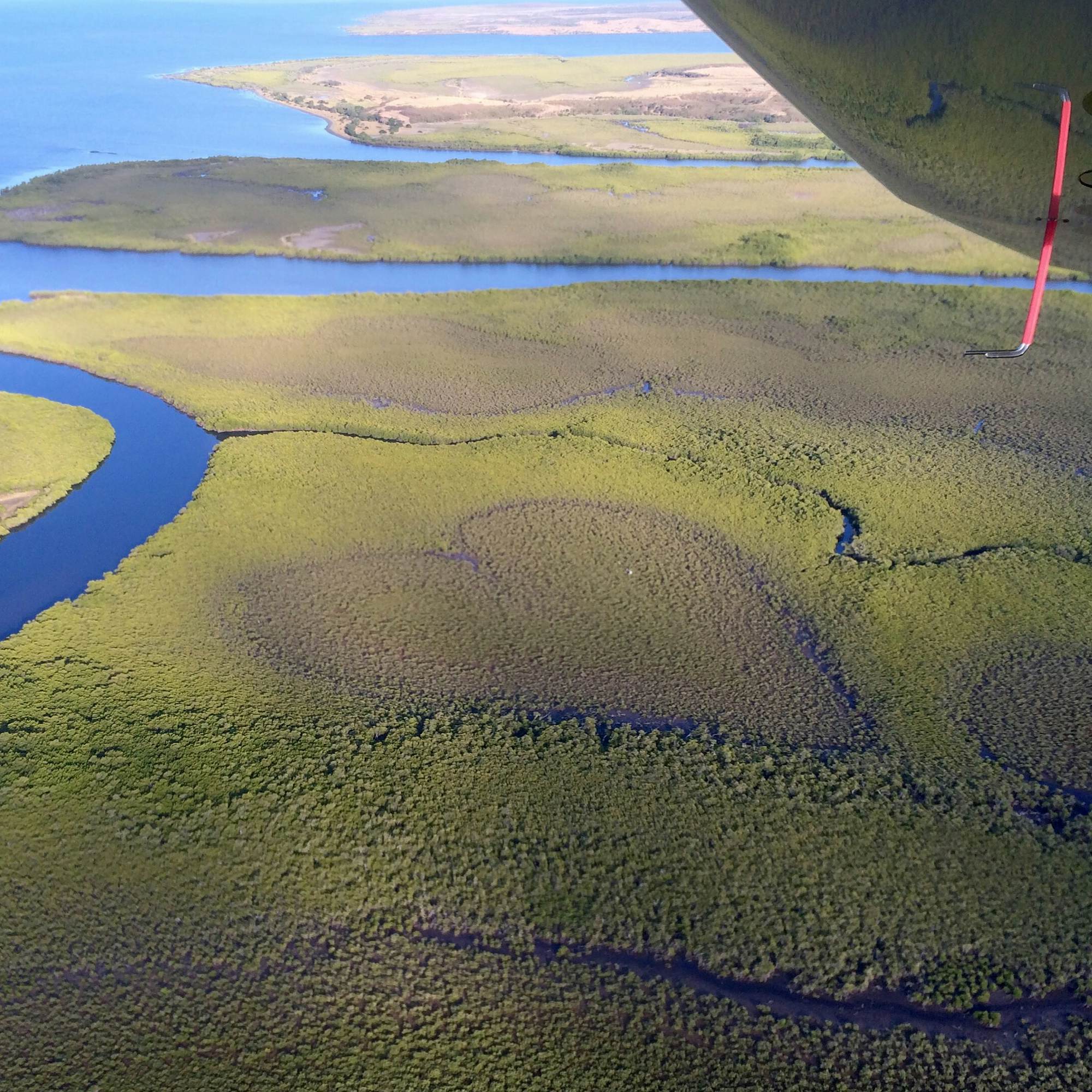 The Heart of Voh | | Sights - Lonely Planet