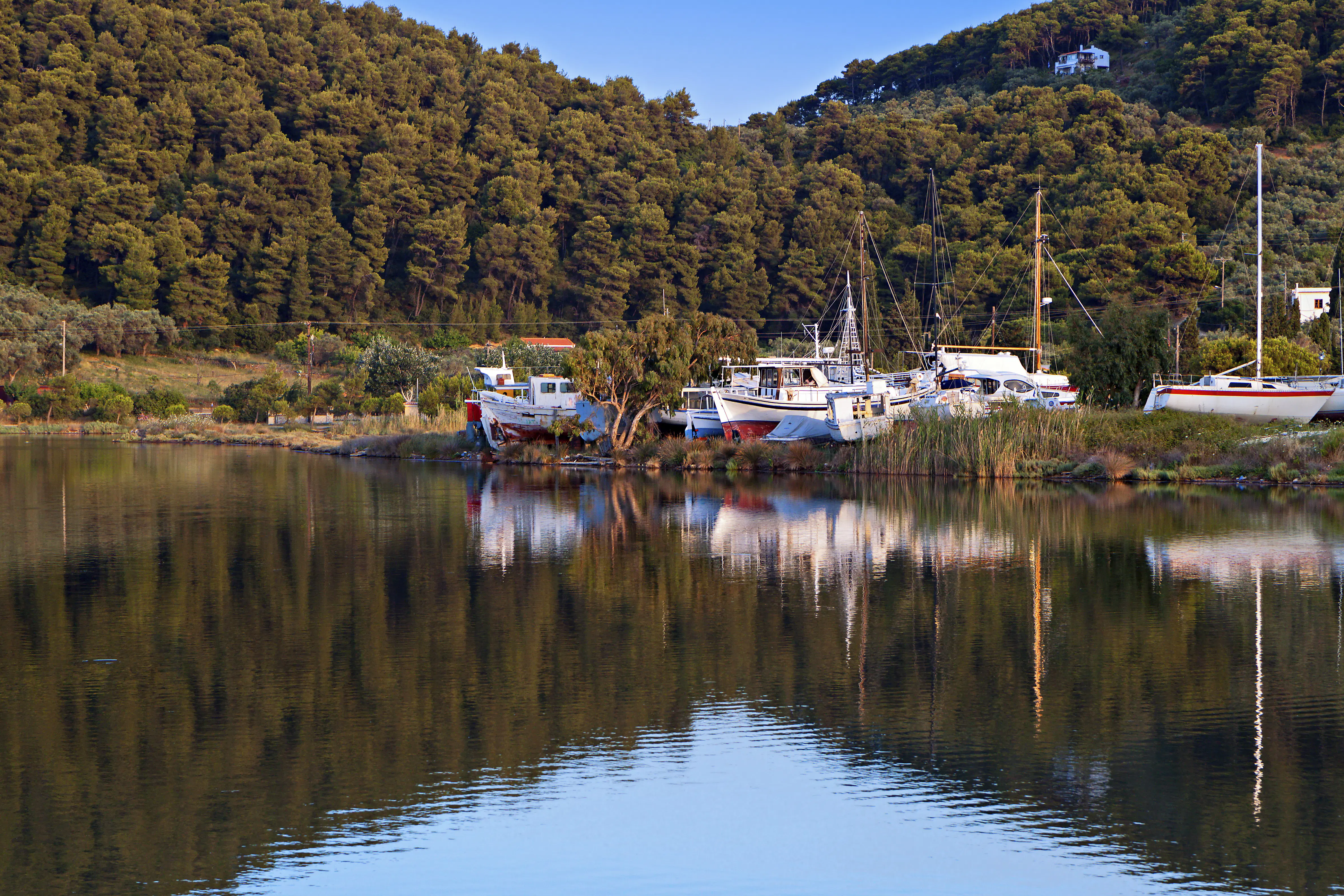 Skiathos travel - Lonely Planet | Greece, Europe
