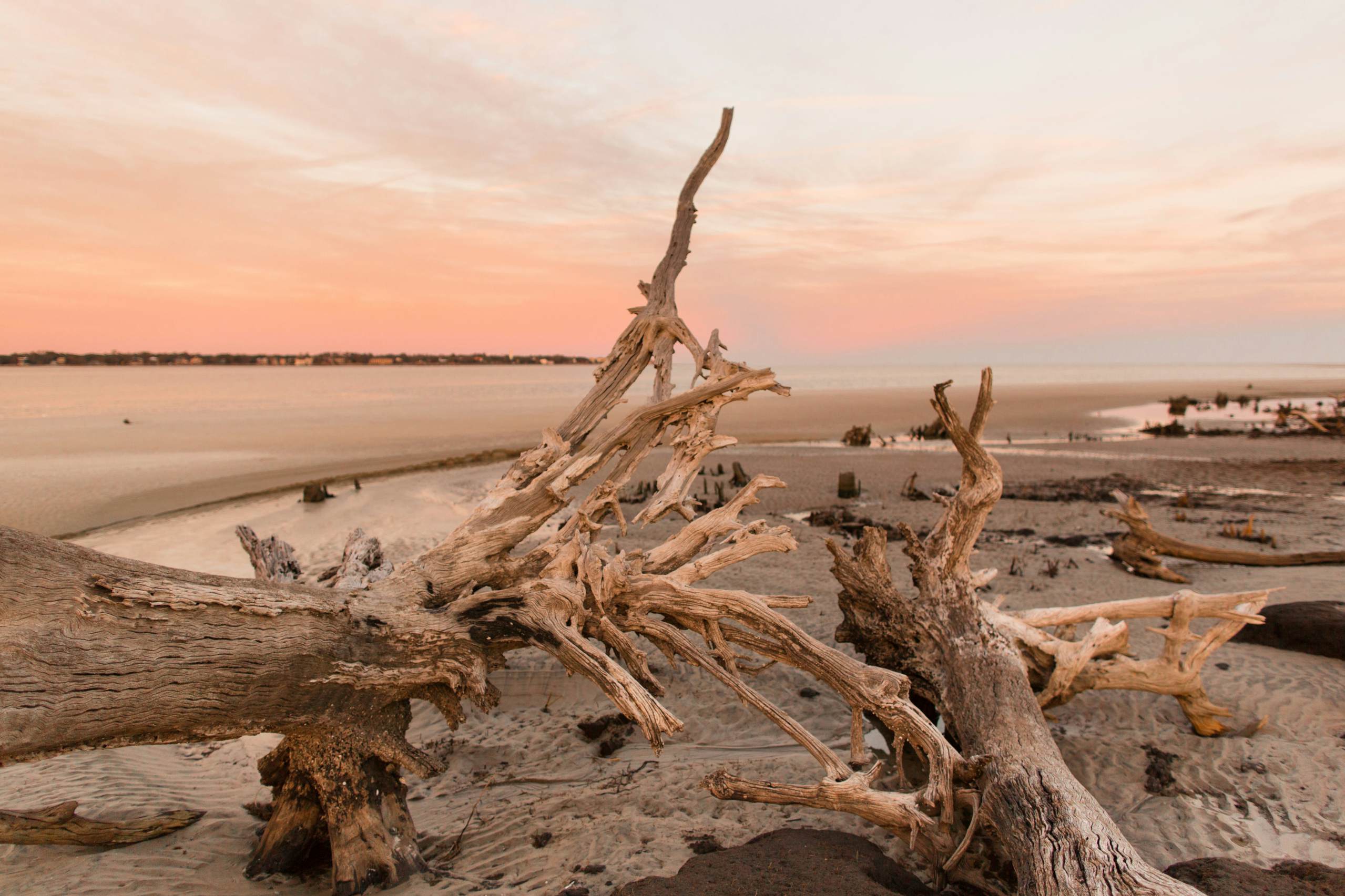 Secrets of Jekyll Island: the storied past of a Golden Isle - Lonely Planet