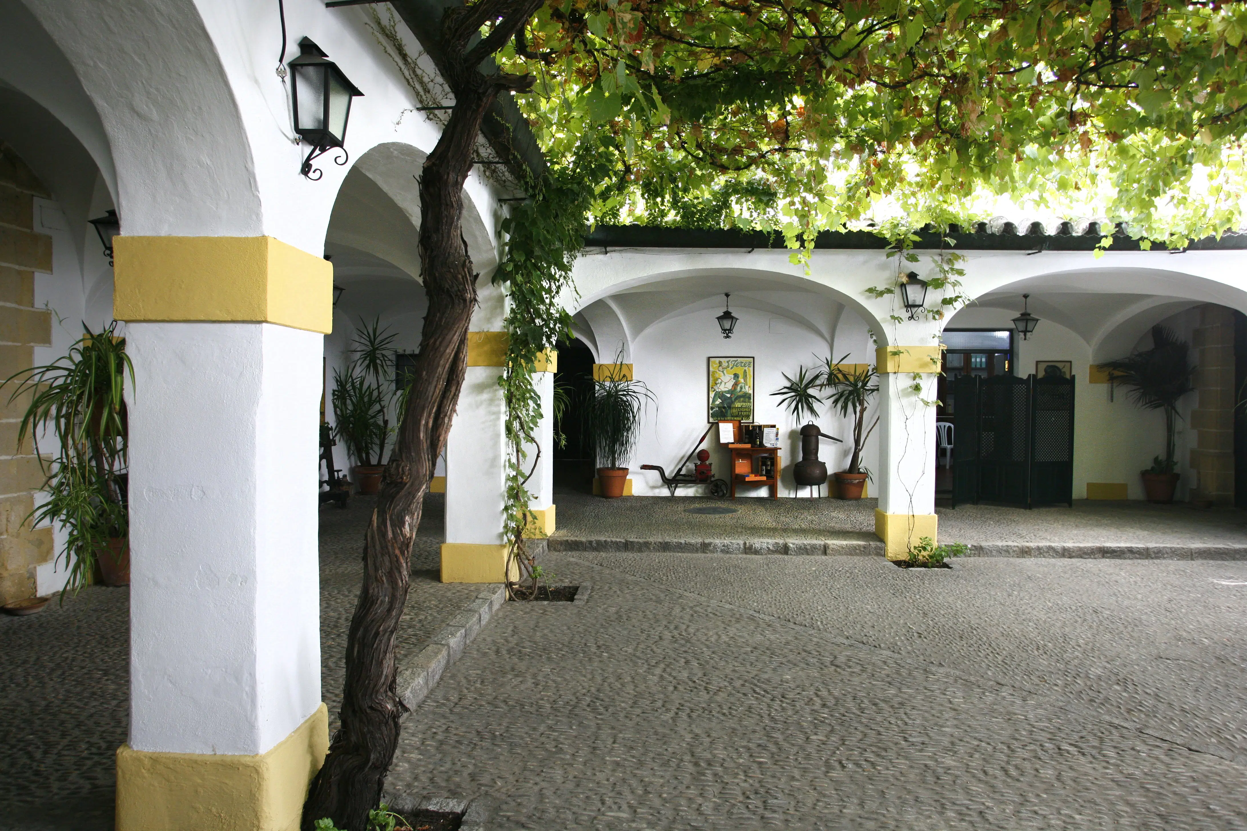 Jerez de la Frontera travel - Lonely Planet | Andalucía, Spain, Europe