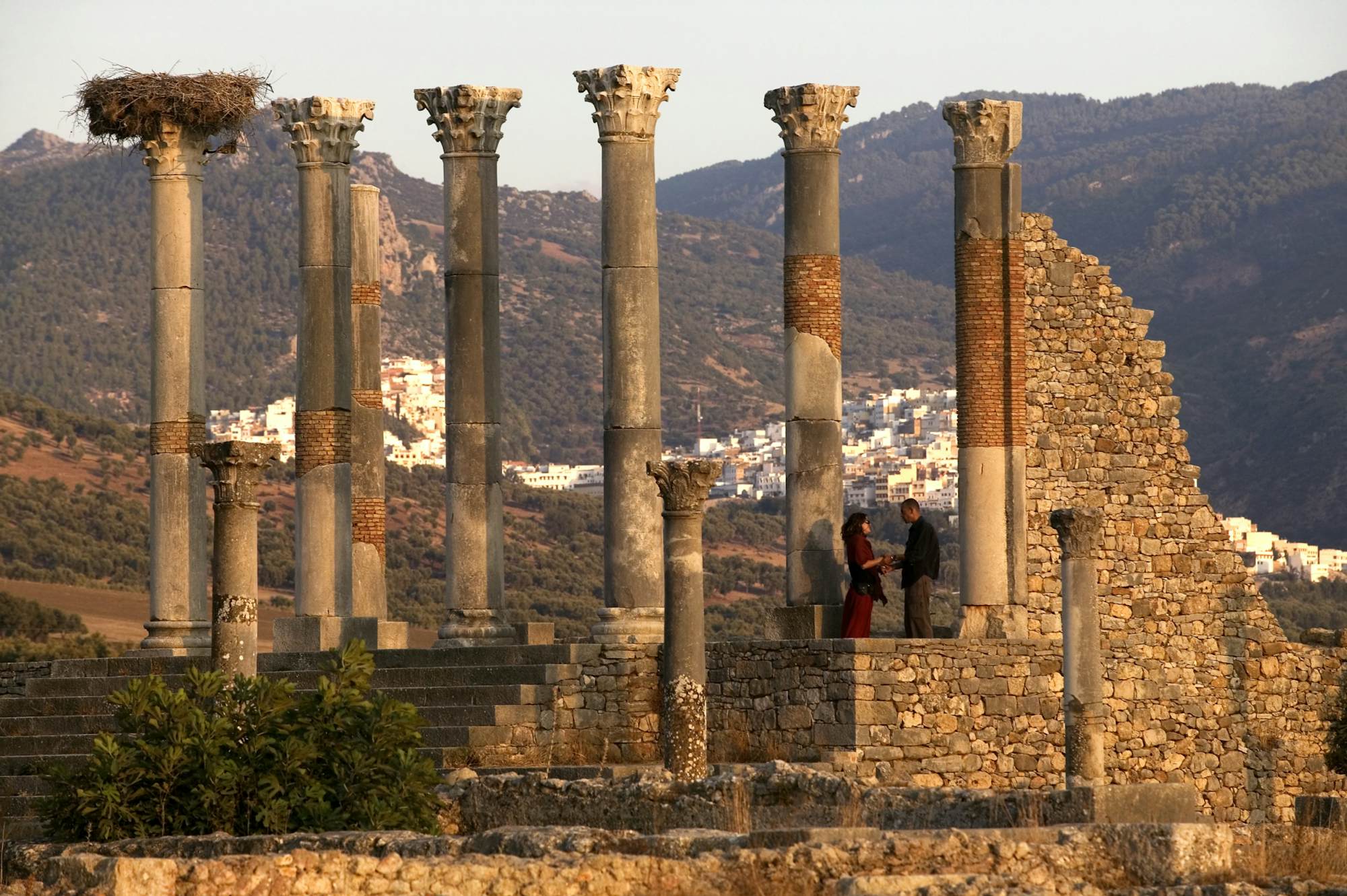 Volubilis | | Sights - Lonely Planet