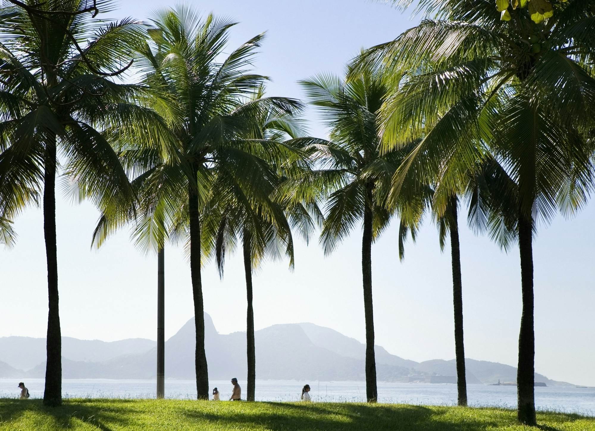 Parque do Flamengo | Rio de Janeiro, Brazil | Sights - Lonely Planet