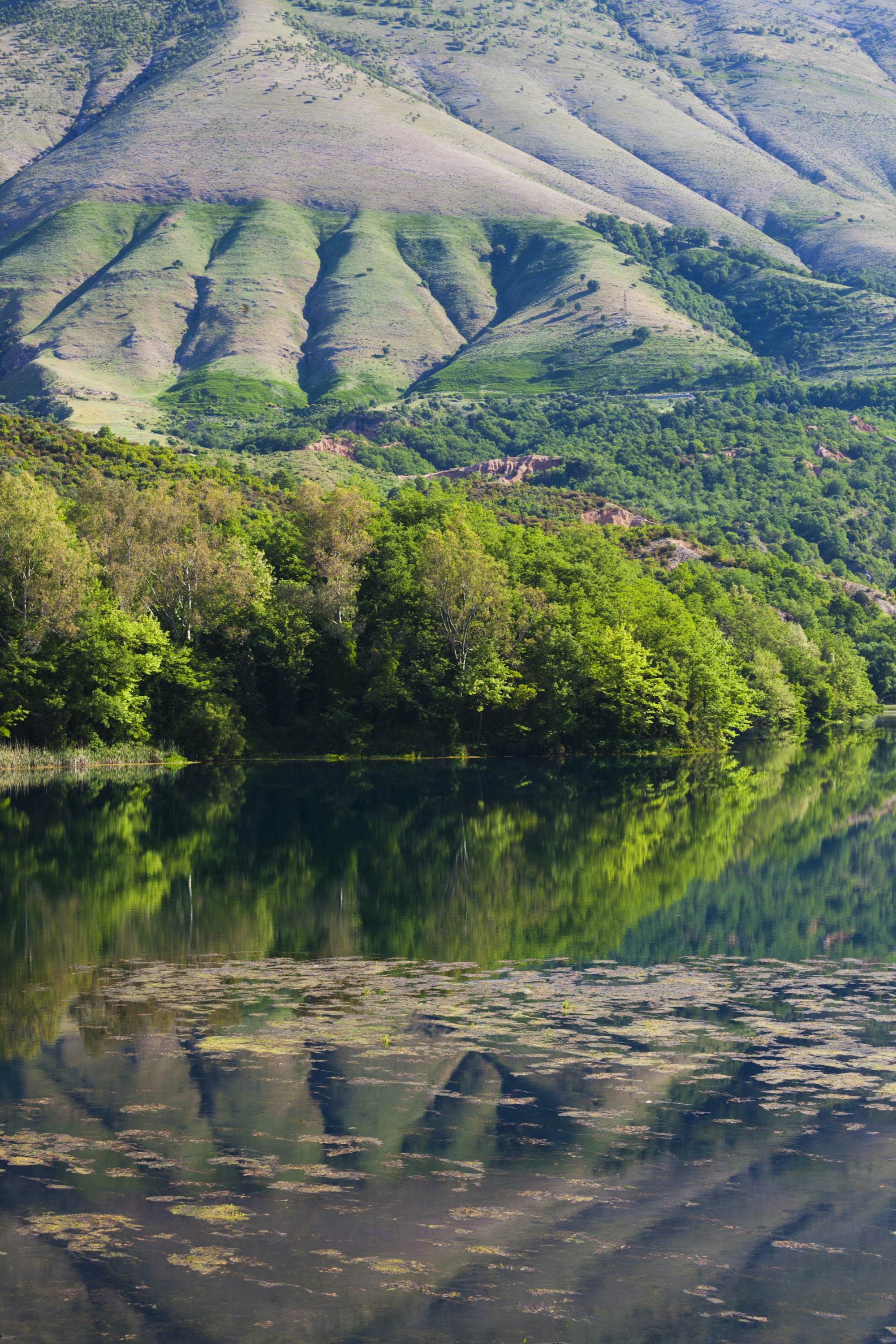 Blue Eye Spring | | Attractions - Lonely Planet