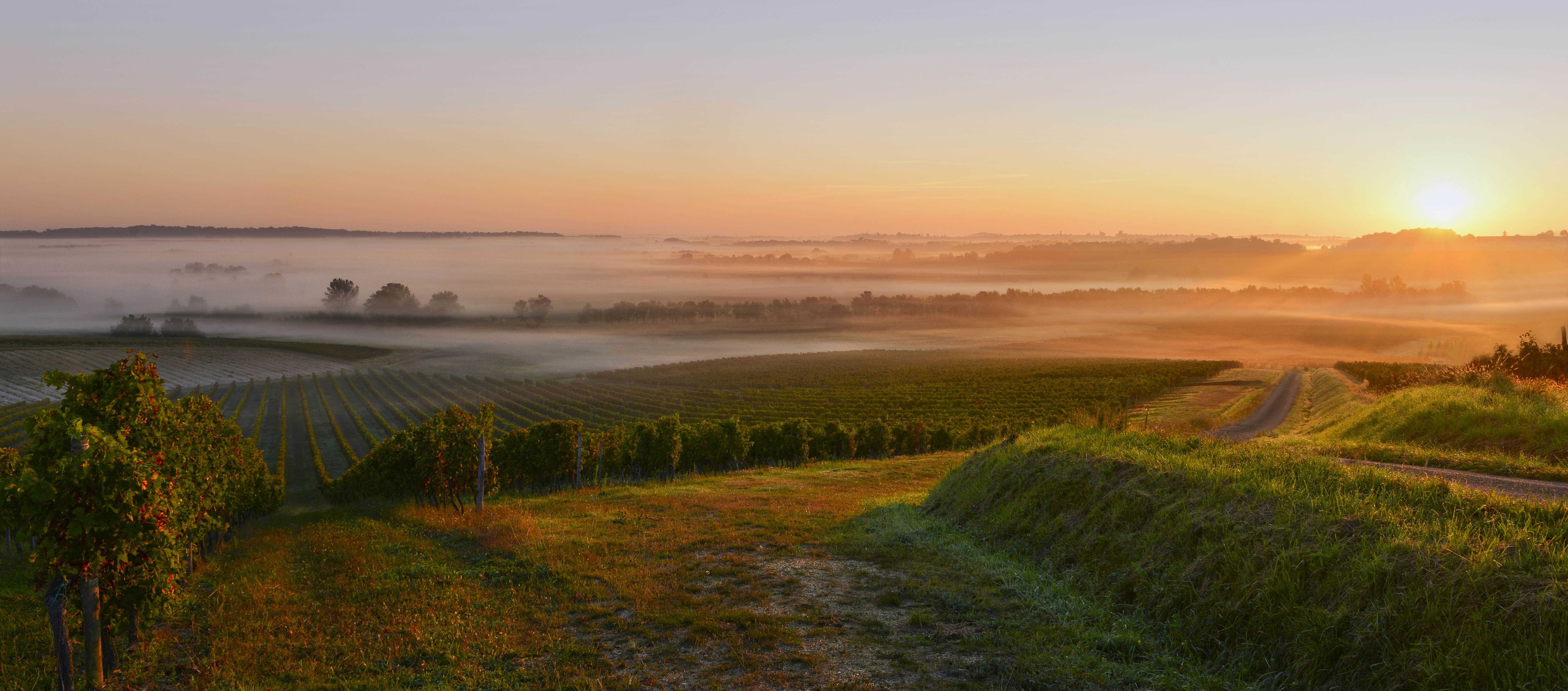 Bordeaux travel | France - Lonely Planet