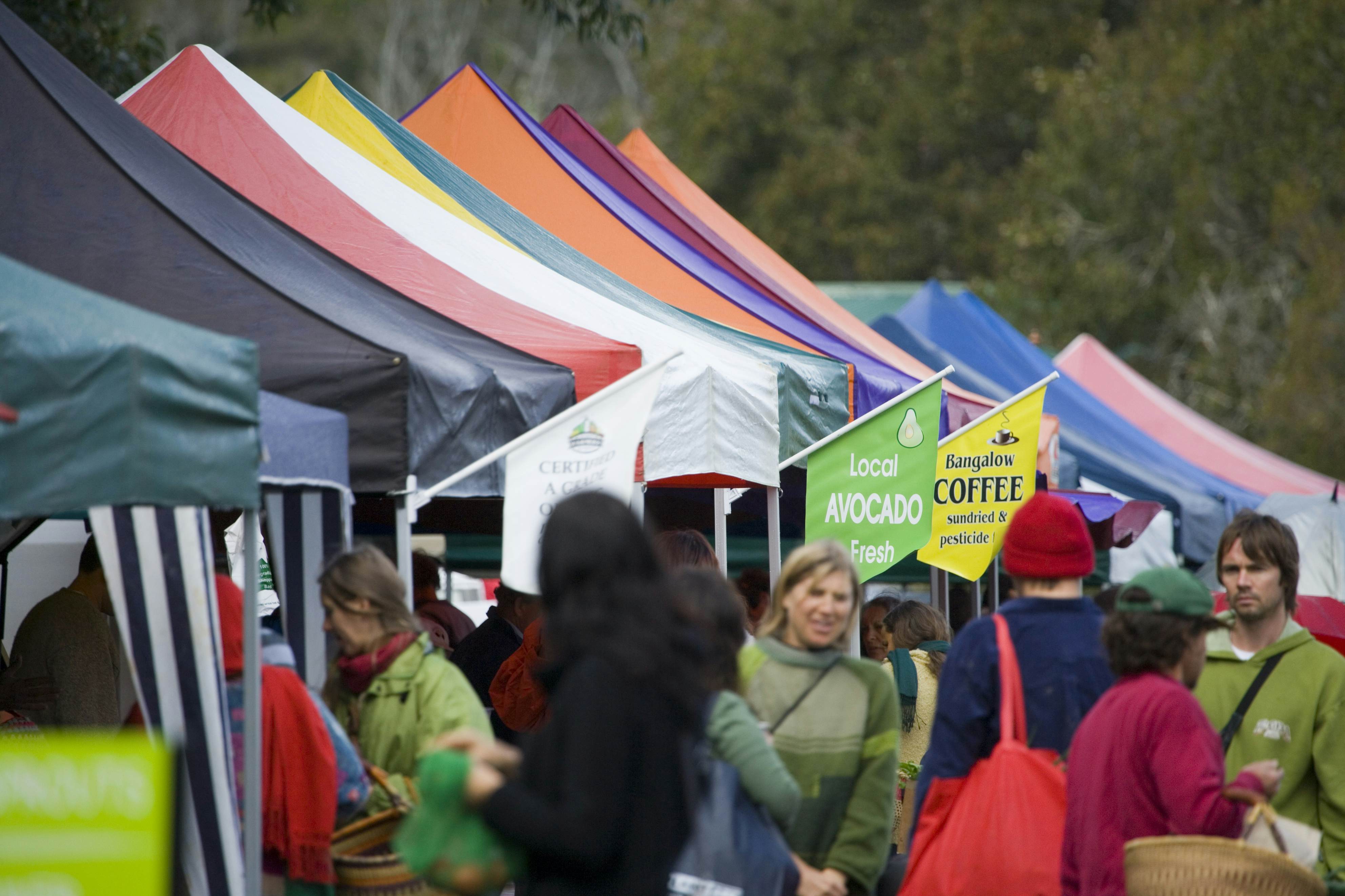 Shopping Byron Bay & Northern NSW, New South Wales - Lonely Planet