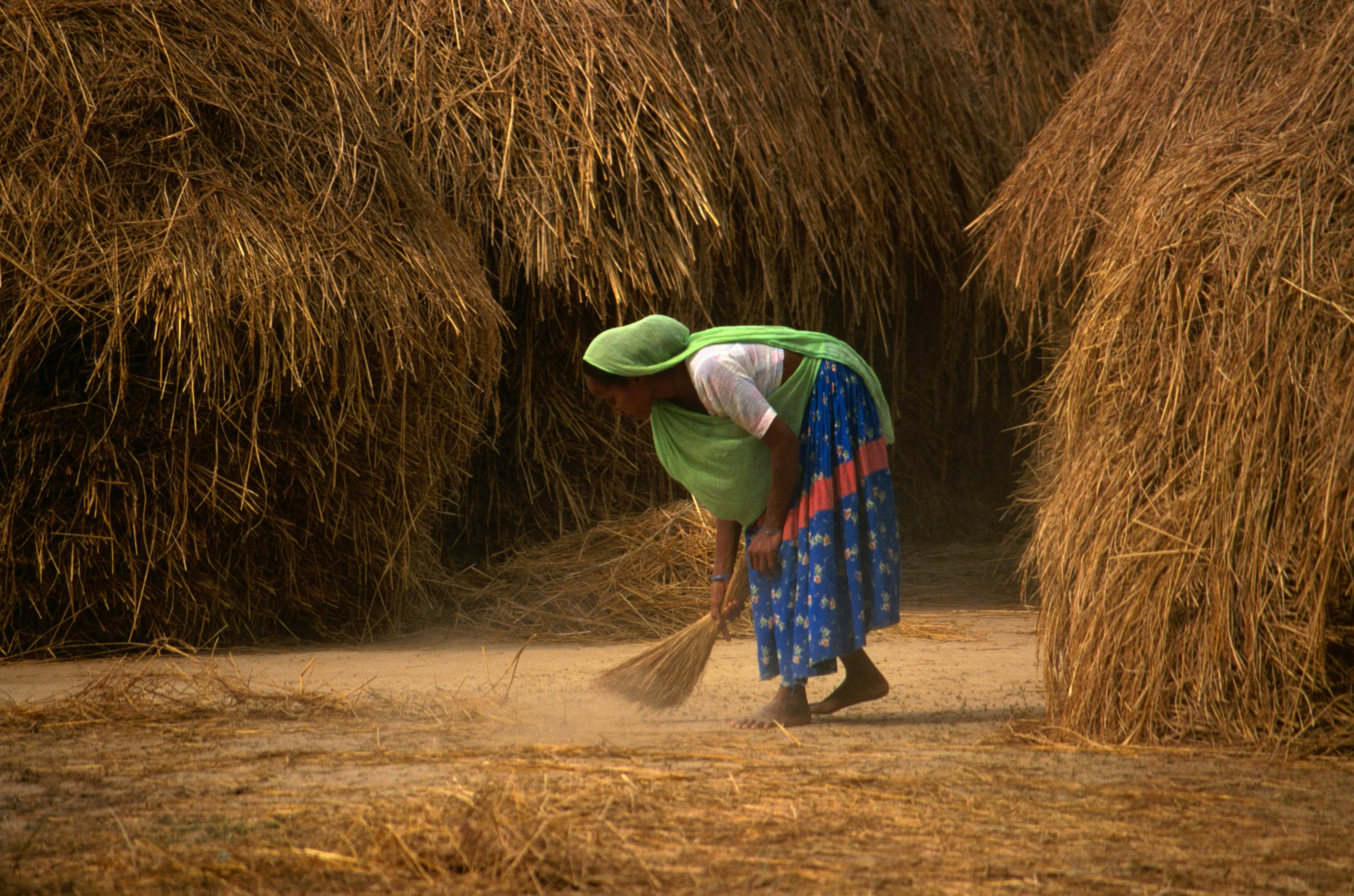 The Terai & Mahabharat Range travel destinations - Lonely Planet