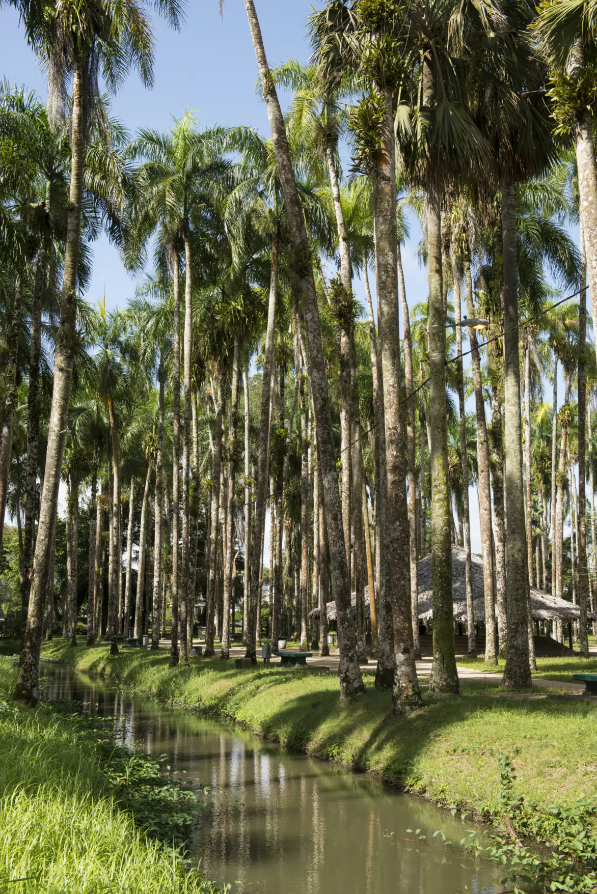 Paramaribo travel - Lonely Planet | Suriname, South America