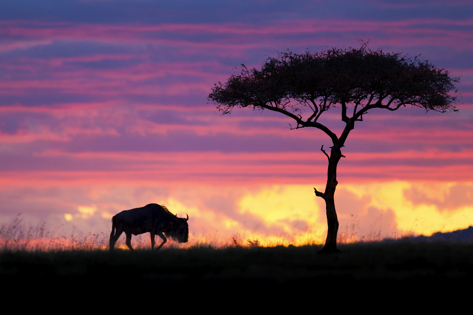 Things to know before going to Kenya - Lonely Planet