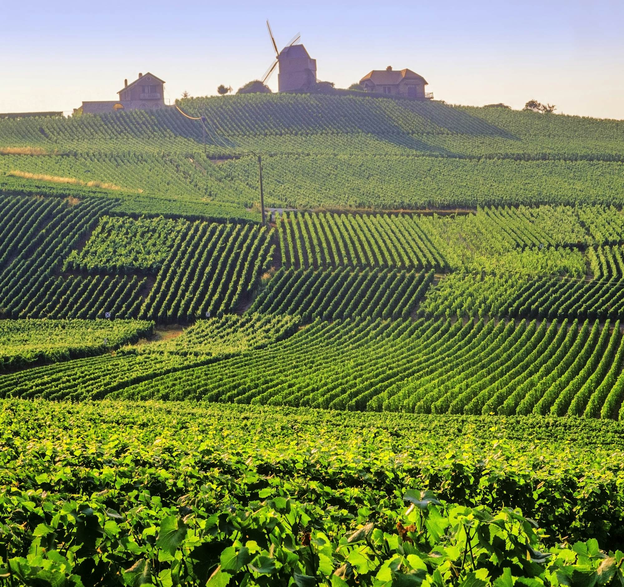 Musée de la Vigne et du Vin | , France | Sights - Lonely Planet