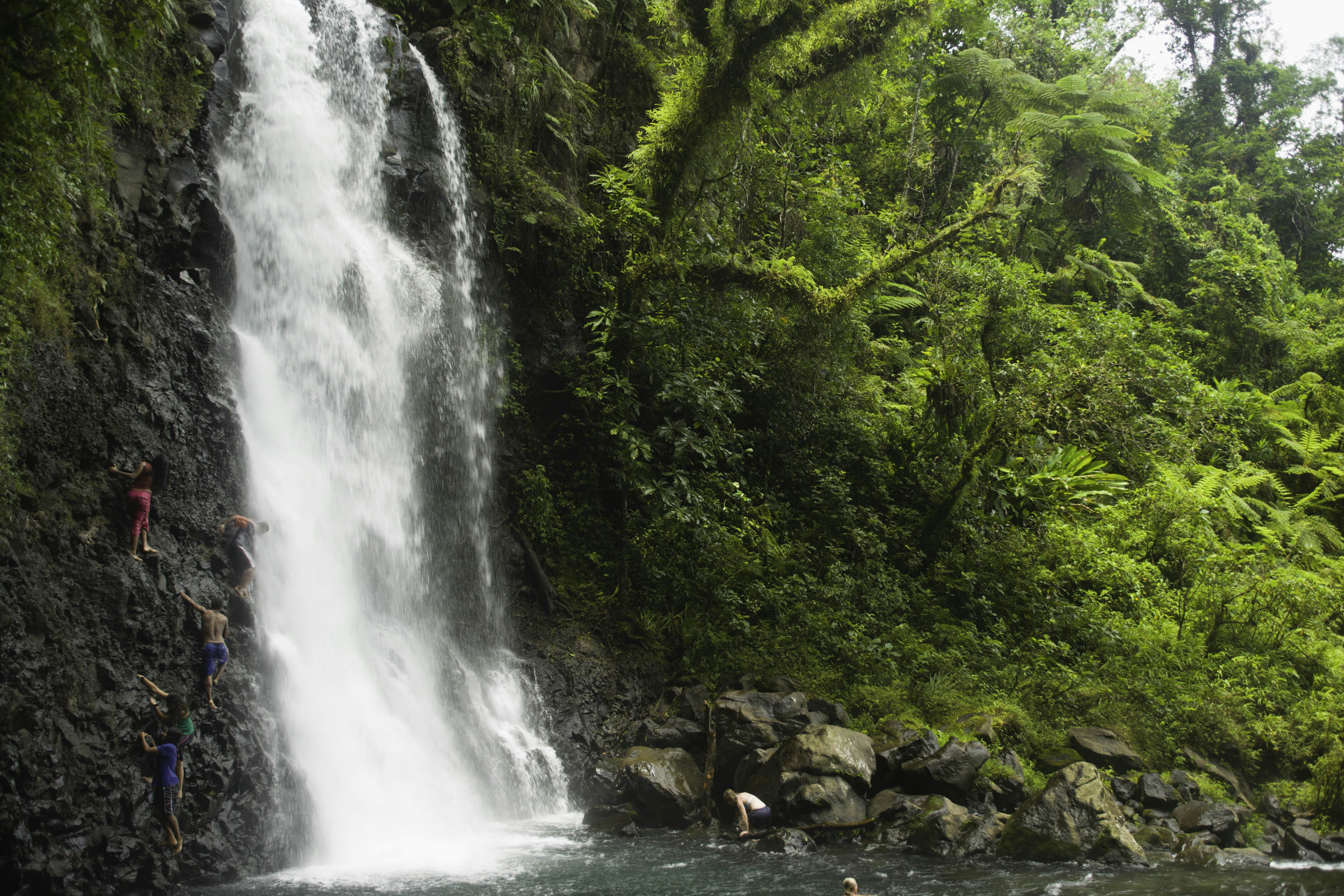 Taveuni travel - Lonely Planet | Fiji, Australia & Pacific