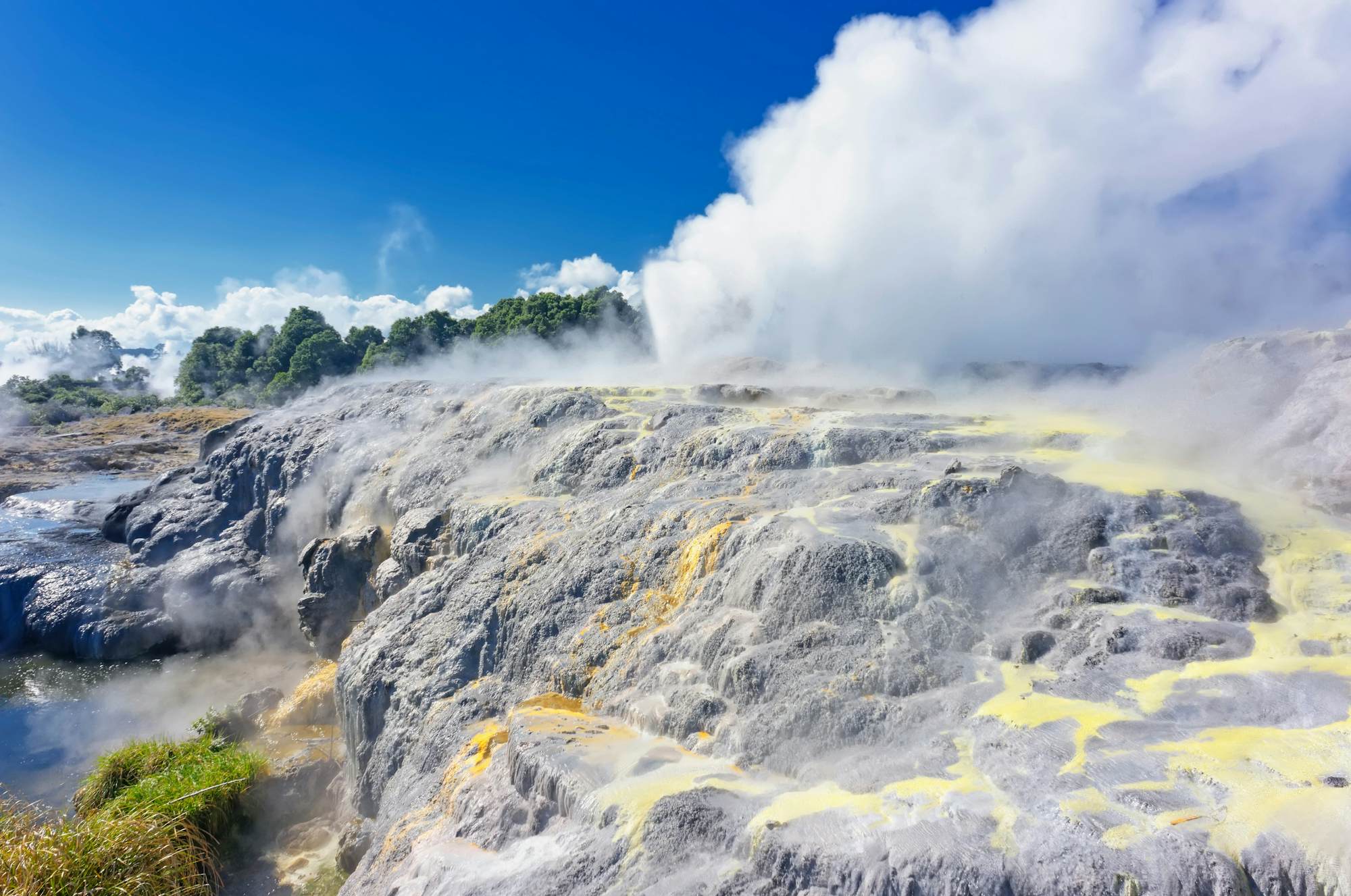 Te Puia | , New Zealand | Attractions - Lonely Planet