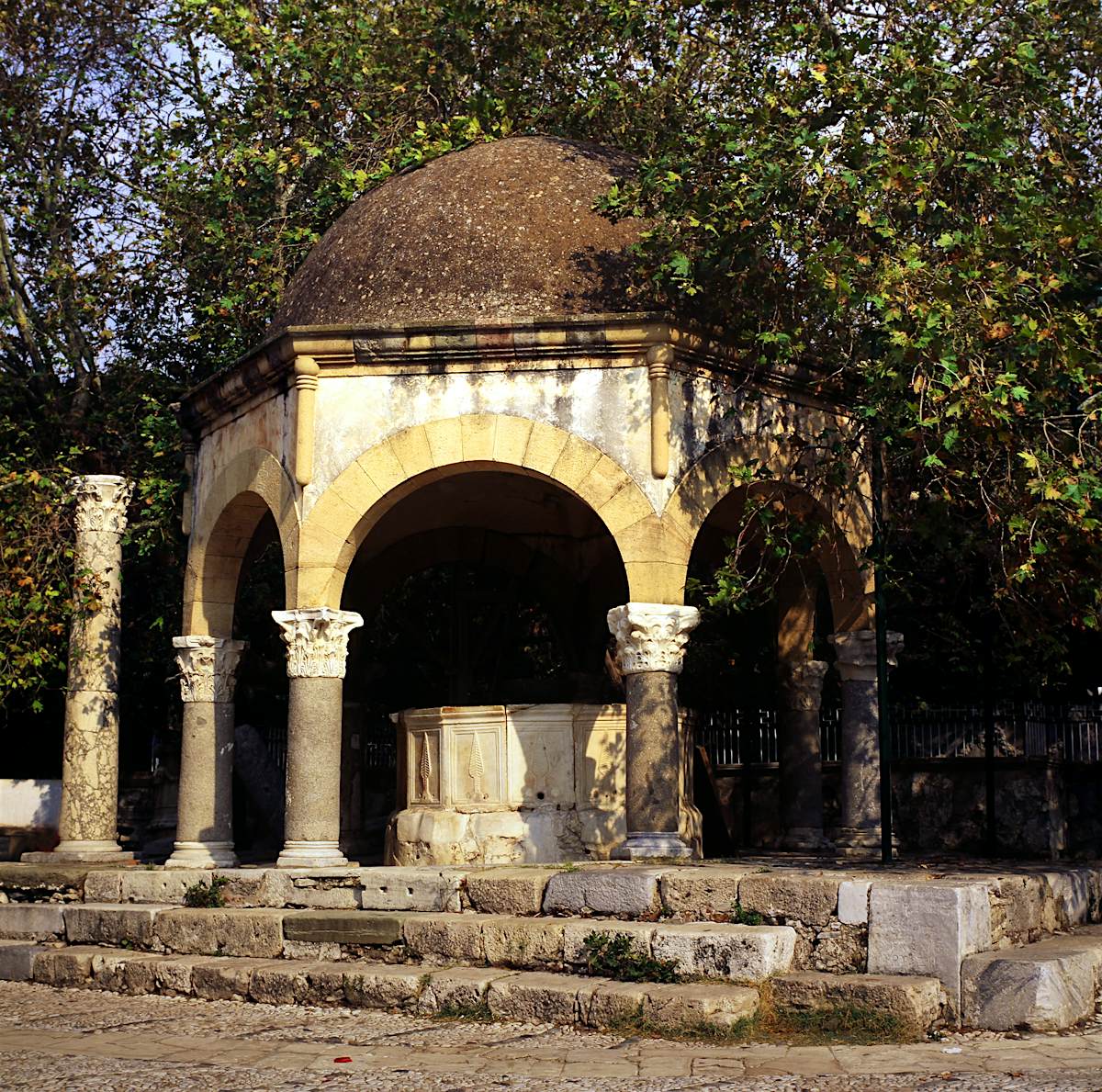 Hippocrates' Plane Tree | Kos Town, Greece Attractions - Lonely Planet