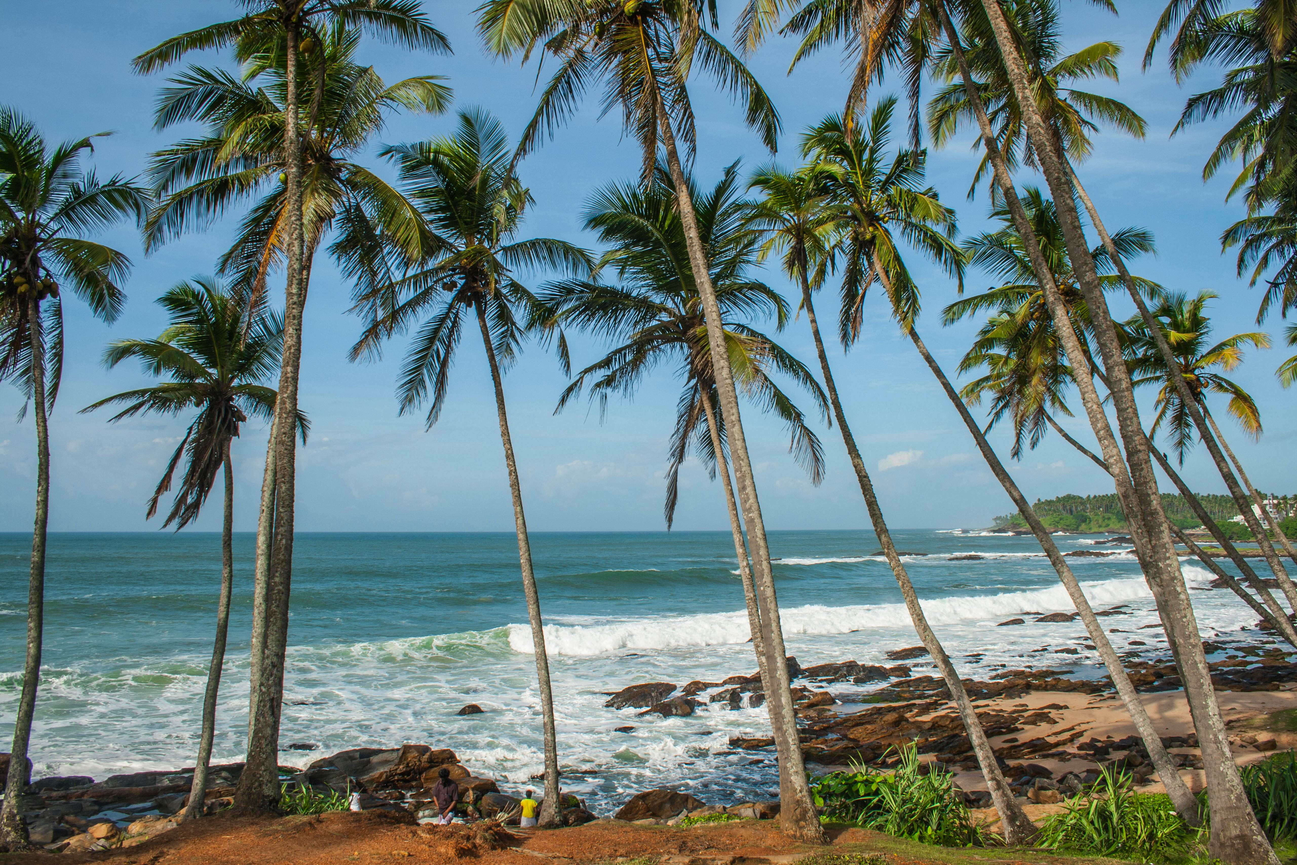 Tangalla & Around travel | The South, Sri Lanka - Lonely Planet