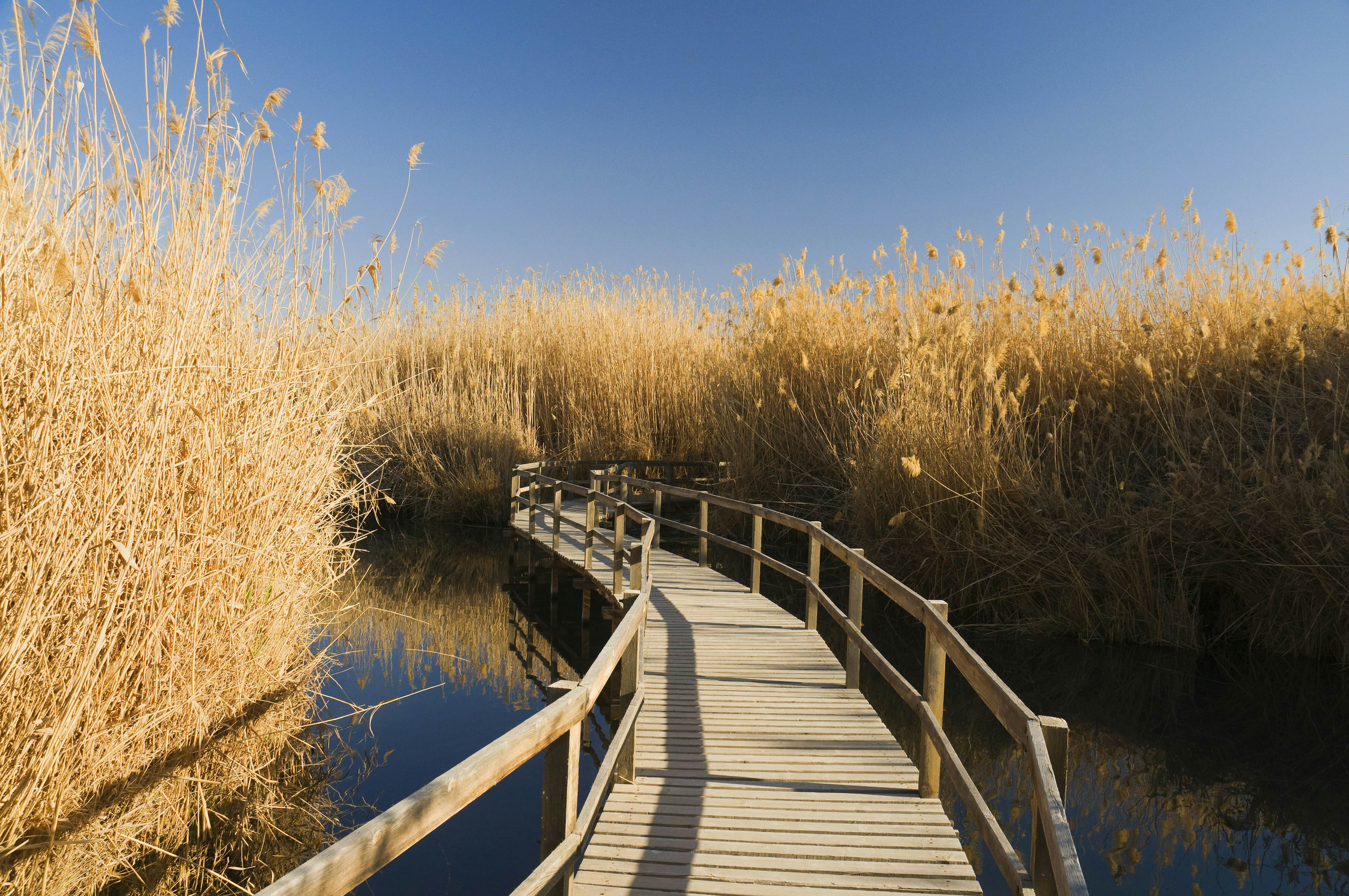 Qasr Al Azraq | Jordan, Middle East | Attractions - Lonely Planet