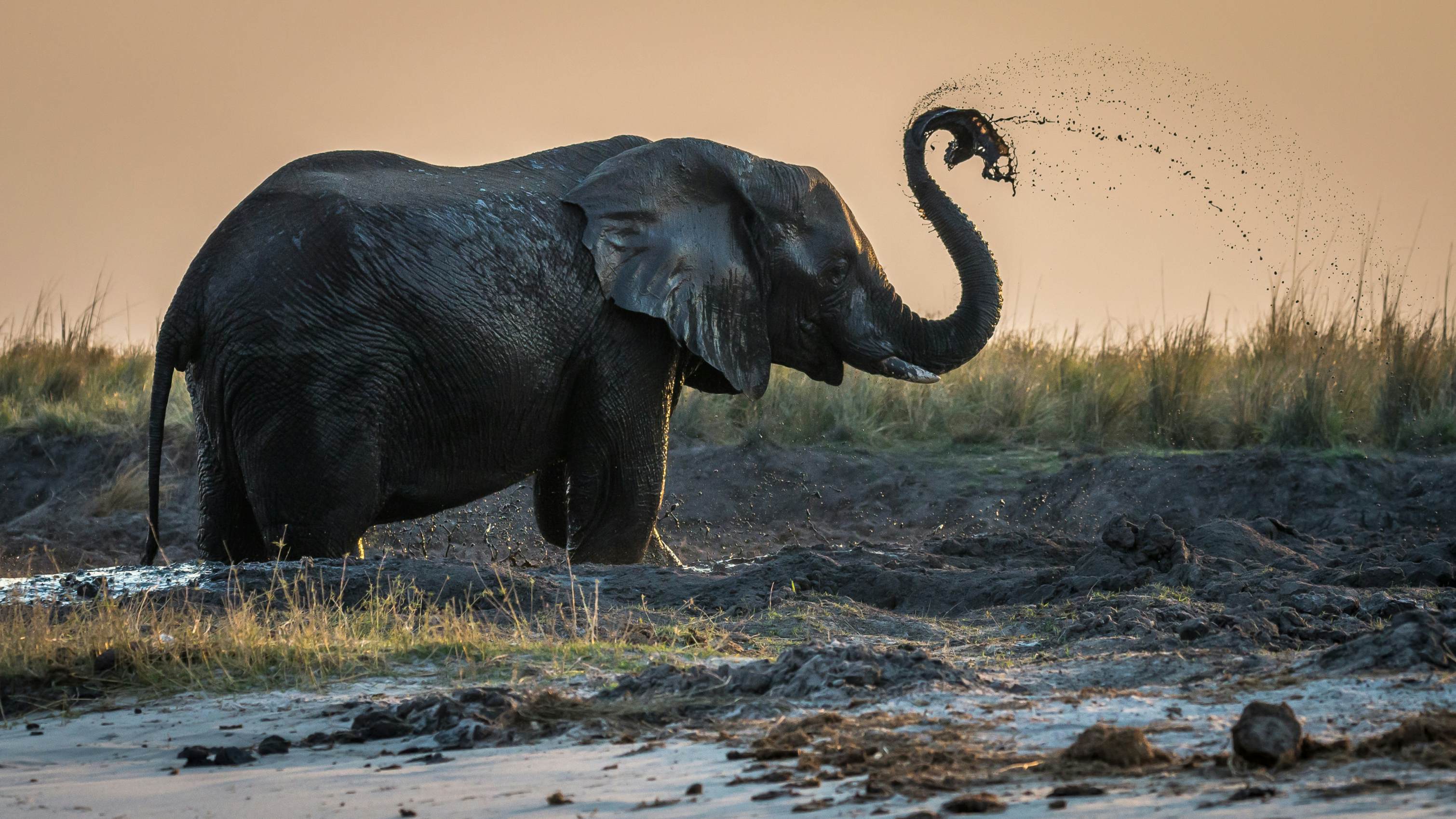 Chobe National Park travel | Botswana - Lonely Planet