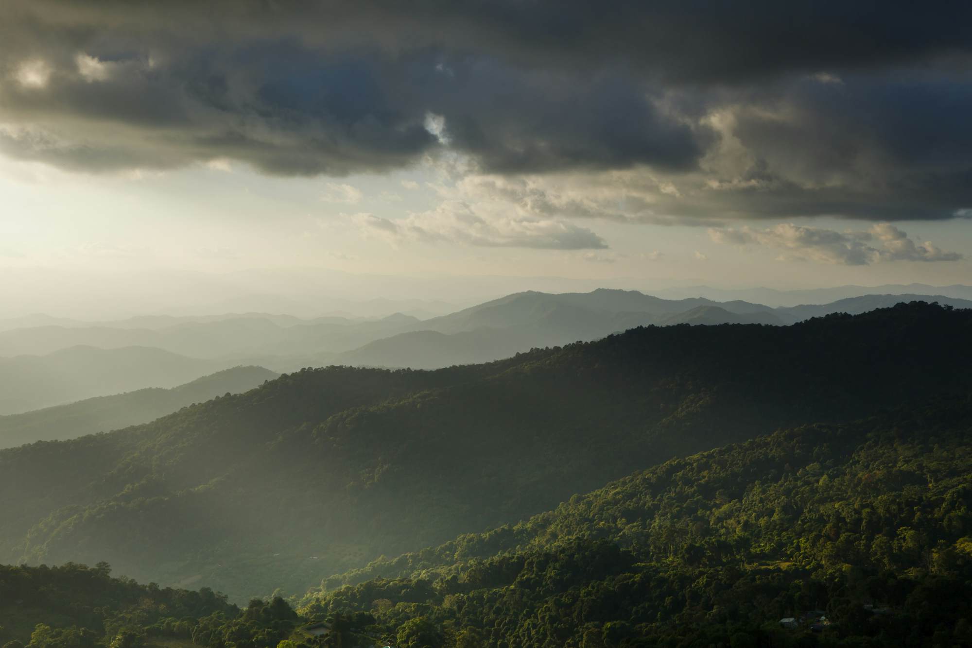 Doi Suthep-Pui National Park | , Thailand | Sights - Lonely Planet