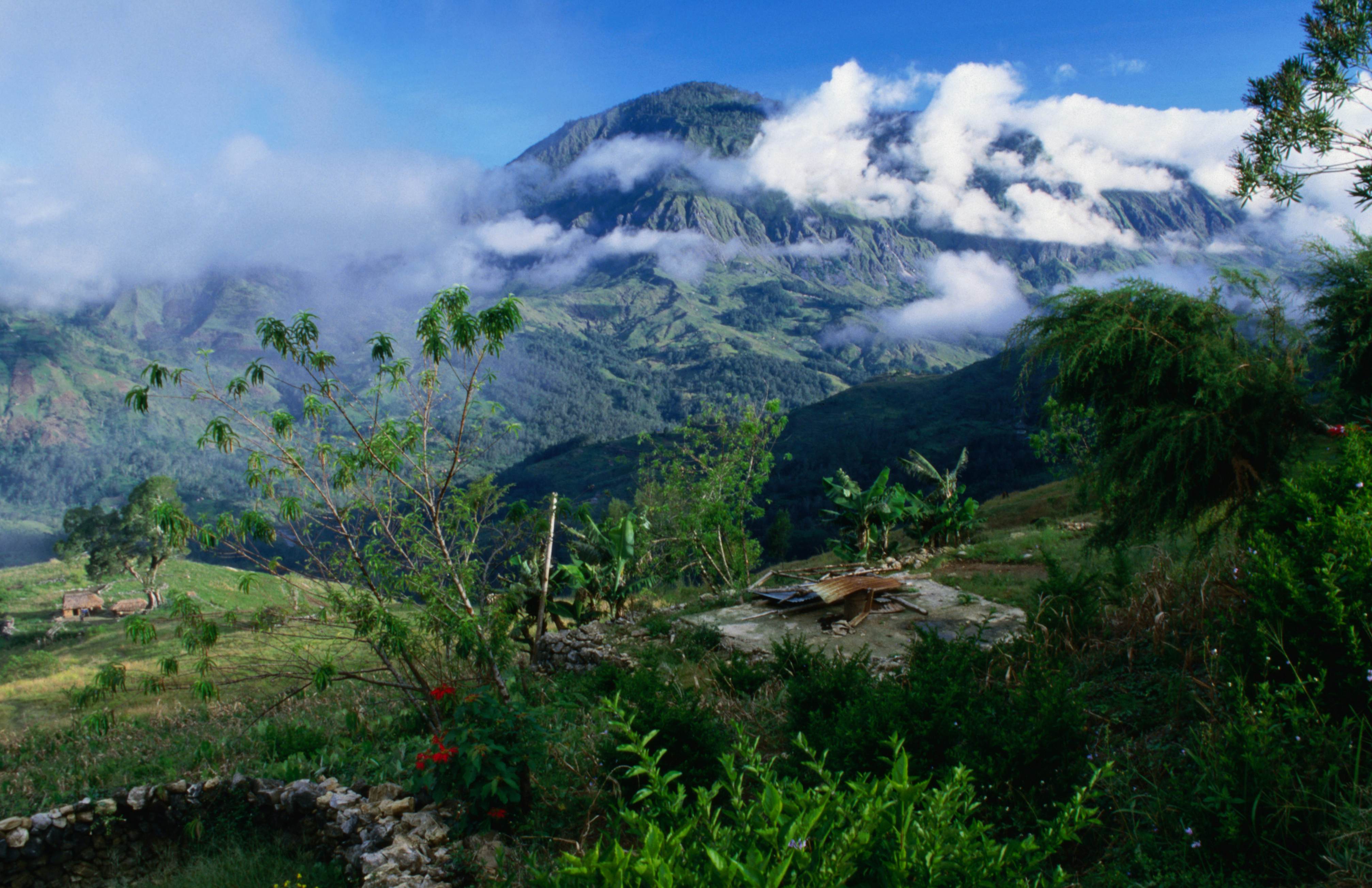 Hiking Mt Ramelau: a guide to scaling Timor-Leste's highest peak ...