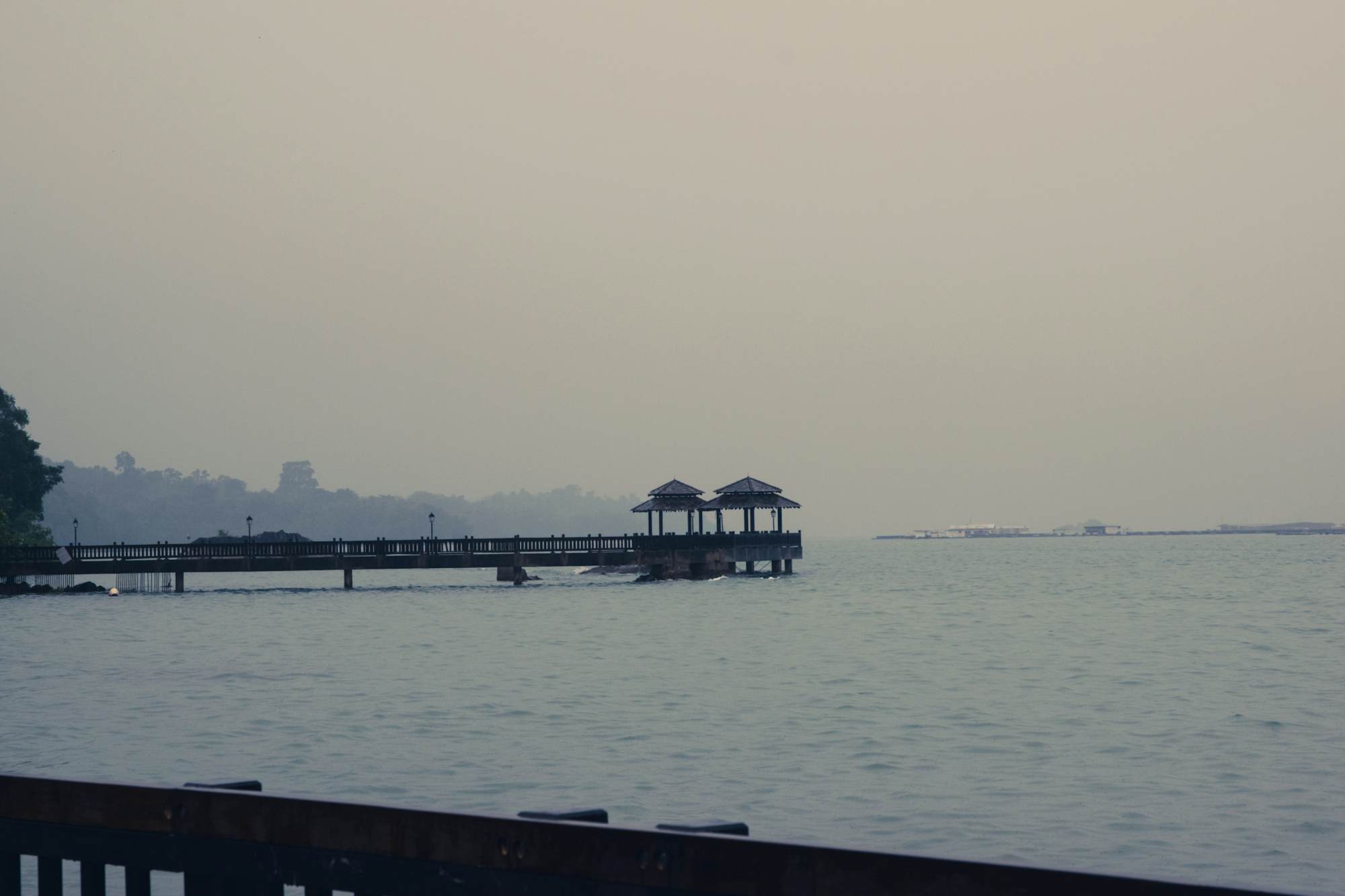 Chek Jawa Wetlands | , Singapore | Sights - Lonely Planet