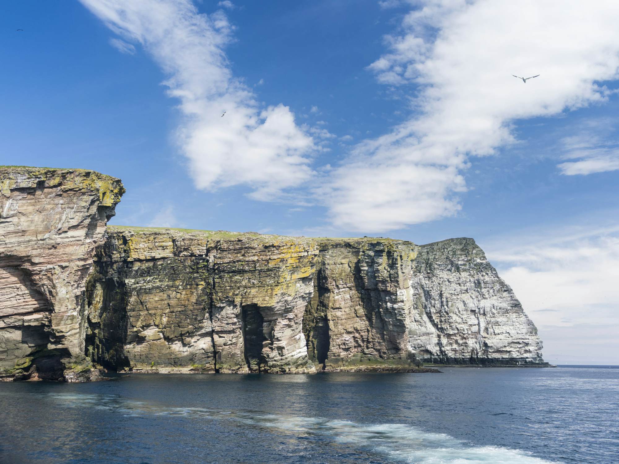 Isle of Noss | | Attractions - Lonely Planet