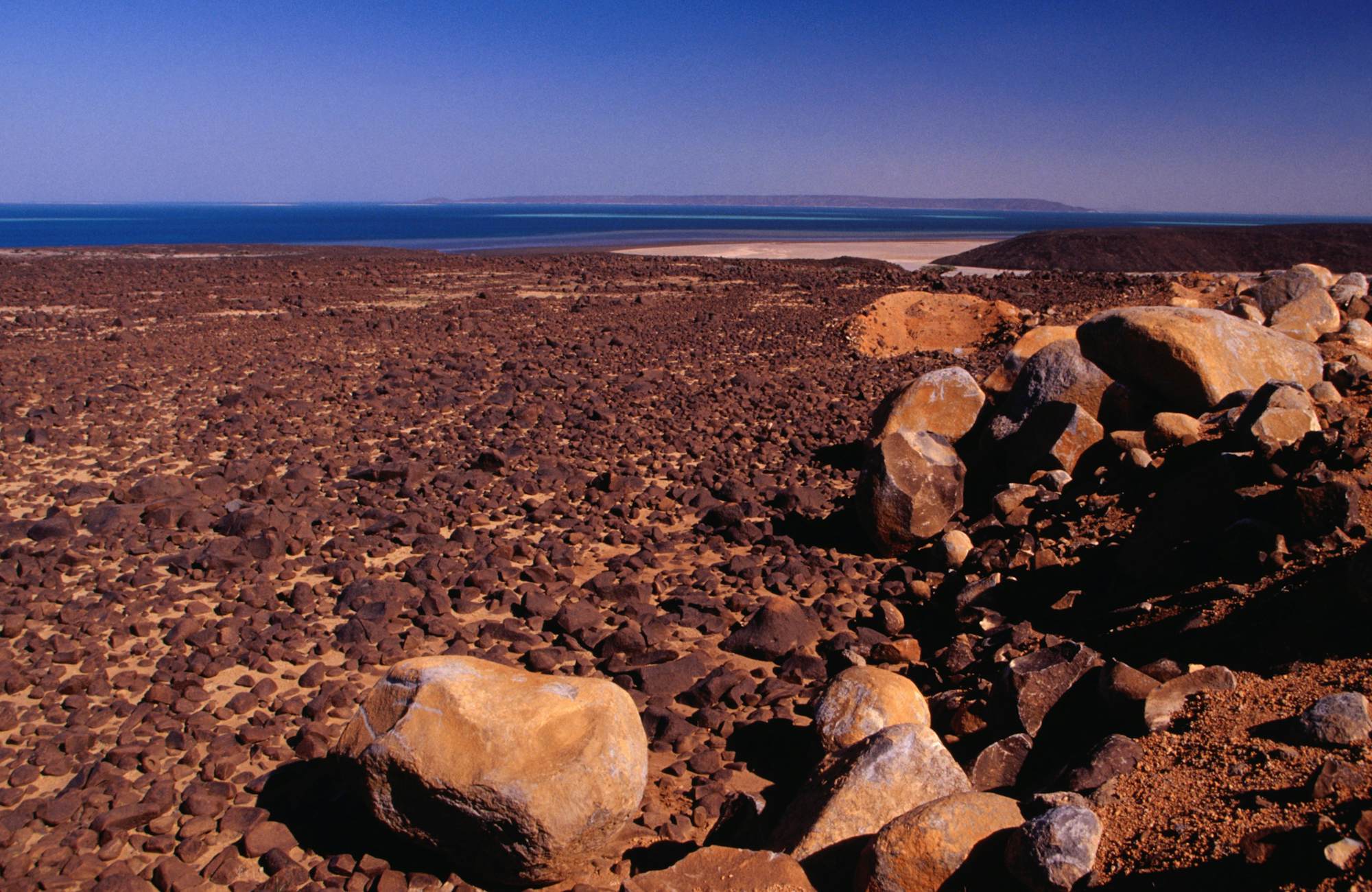 Dankalia | | Sights - Lonely Planet