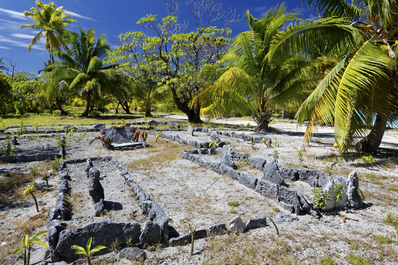 The Tuamotus travel - Lonely Planet | French Polynesia, Australia & Pacific