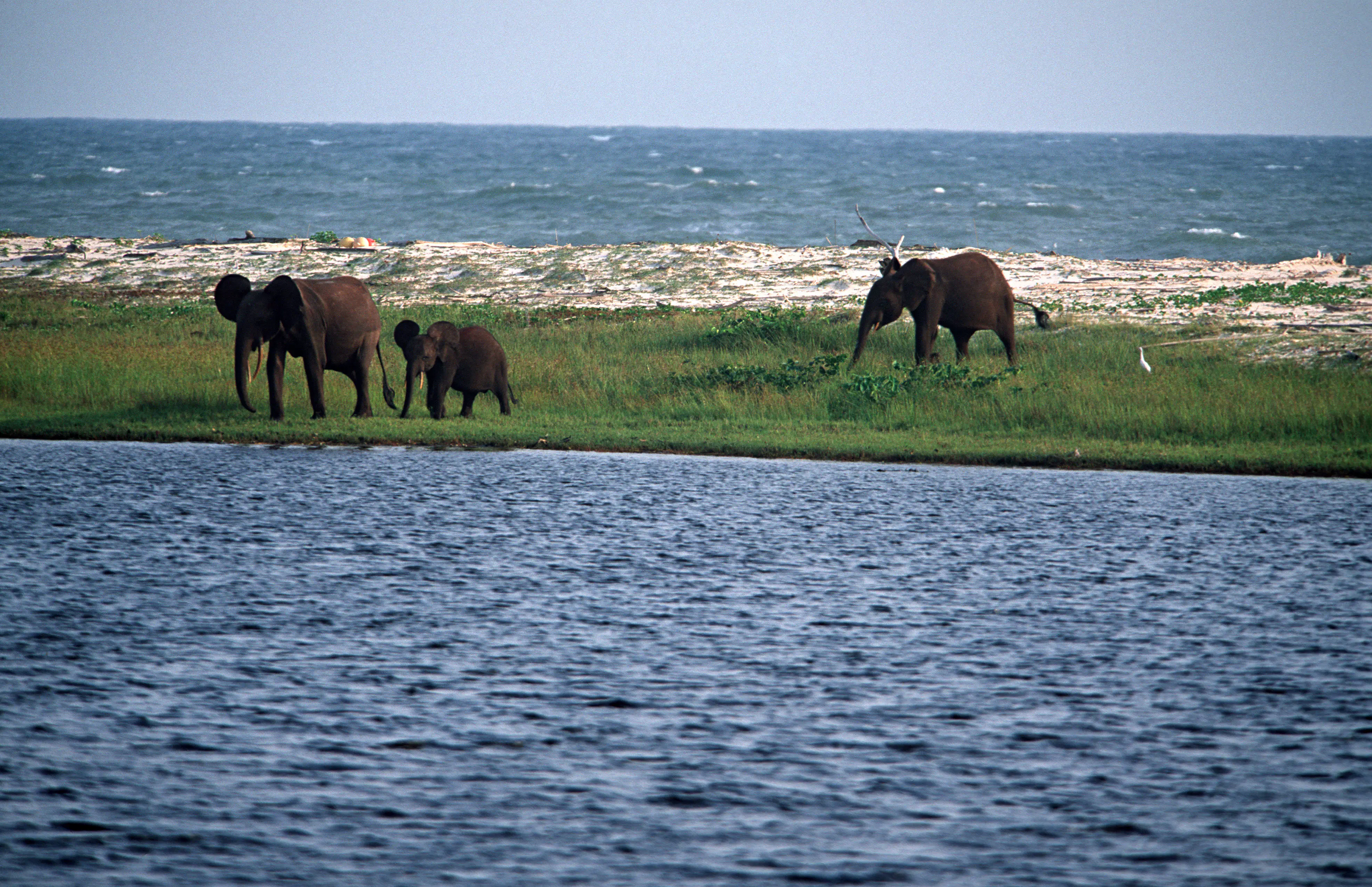 Gabon travel - Lonely Planet | Africa