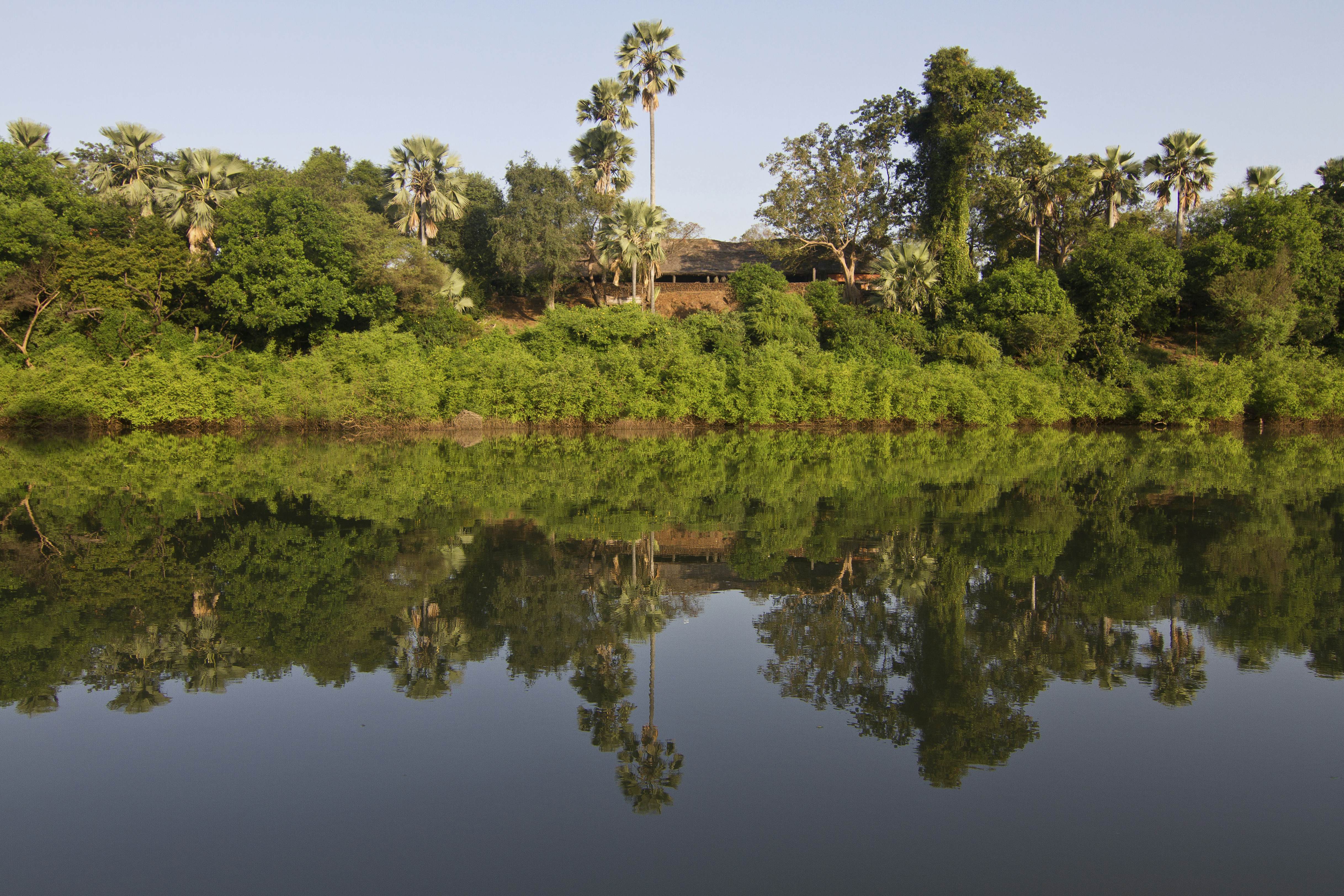 The Gambia travel | Africa - Lonely Planet