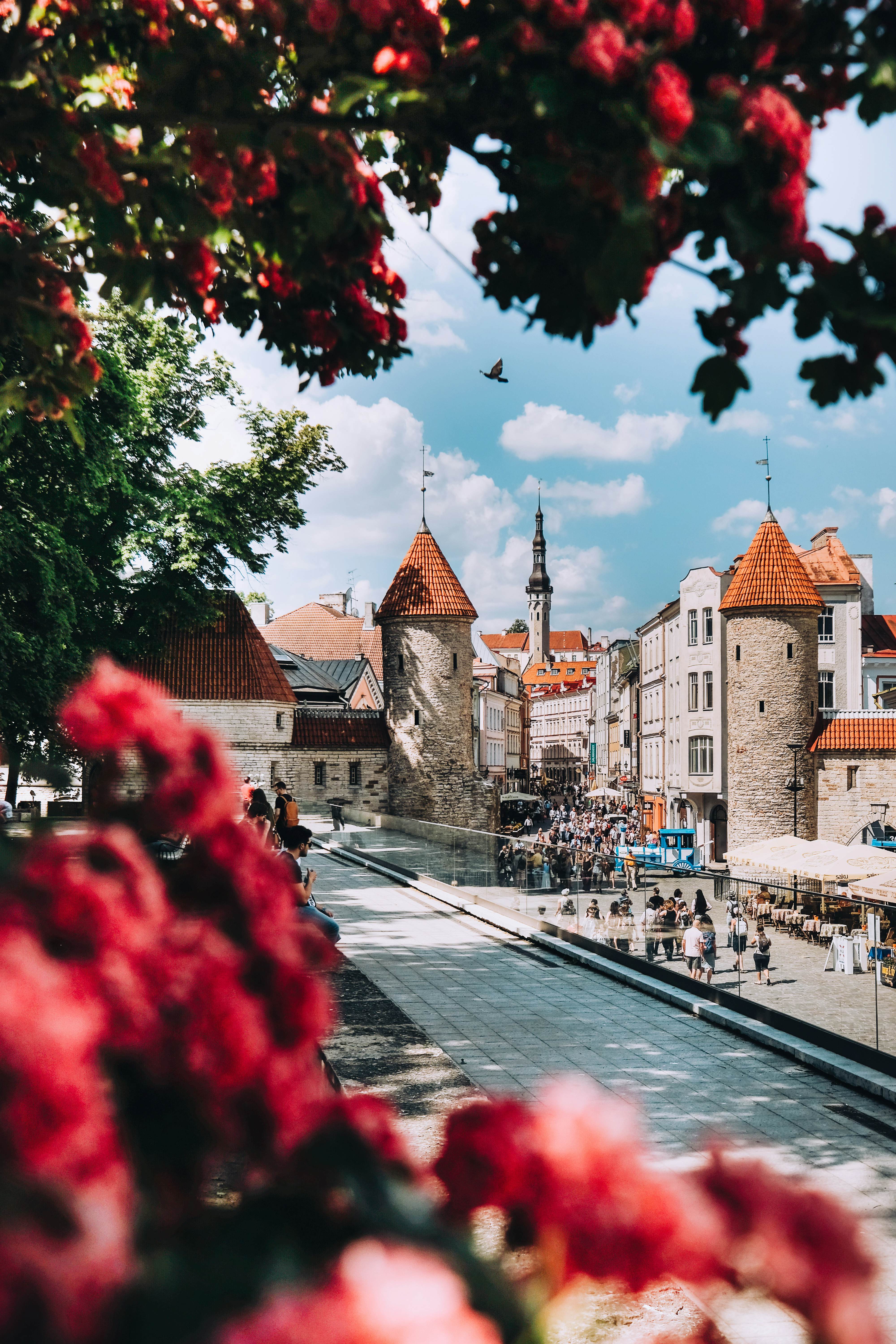 Tallinn by the seasons: a year-round guide to Estonia’s capital ...