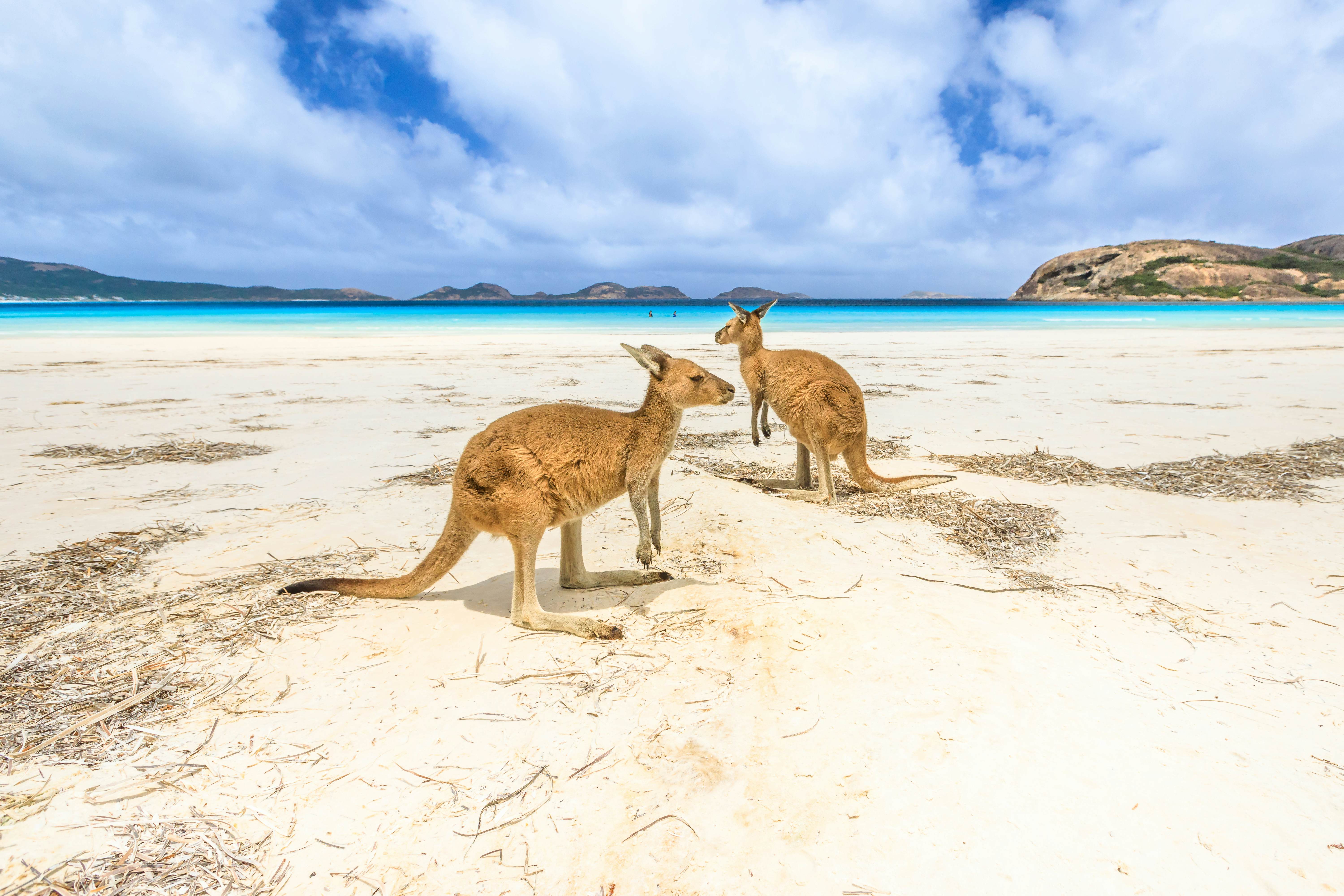 The best things to do in Australia in the summer - Lonely Planet
