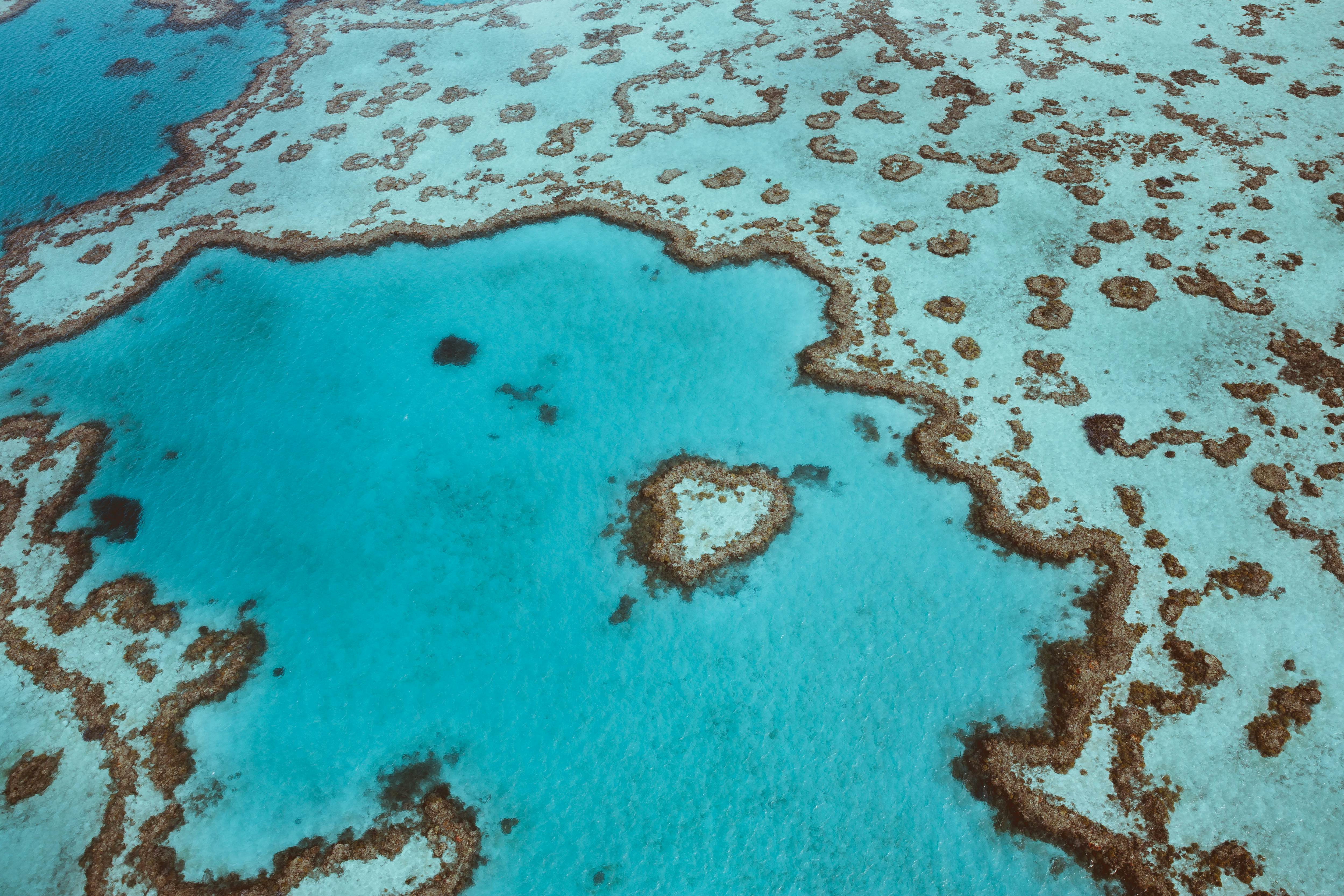 Travelers can now swim above this heart-shaped reef in Australia ...