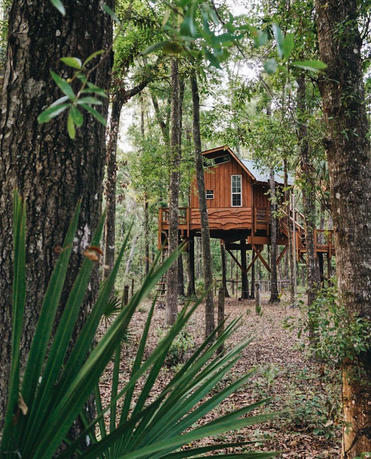 Best tree house vacation rentals in the USA - Lonely Planet