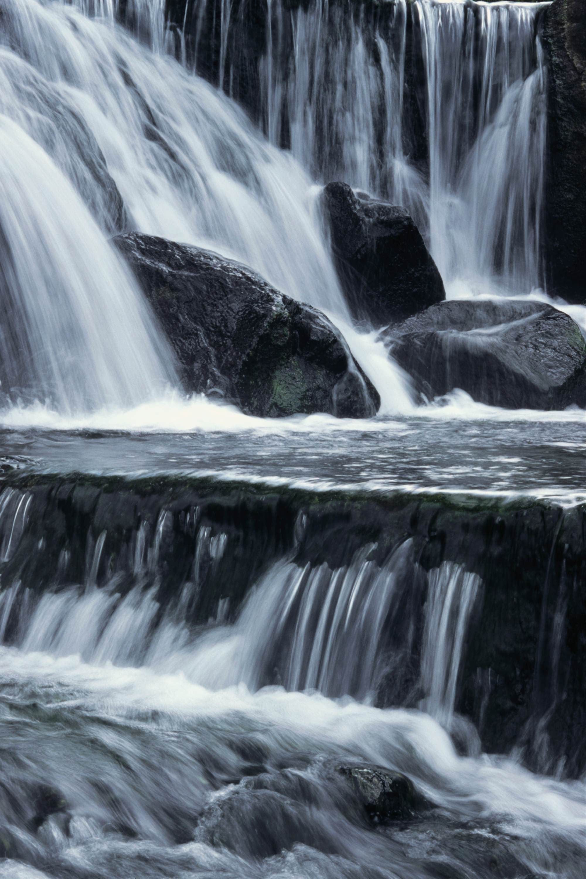 Viento Fresco | , Costa Rica | Attractions - Lonely Planet