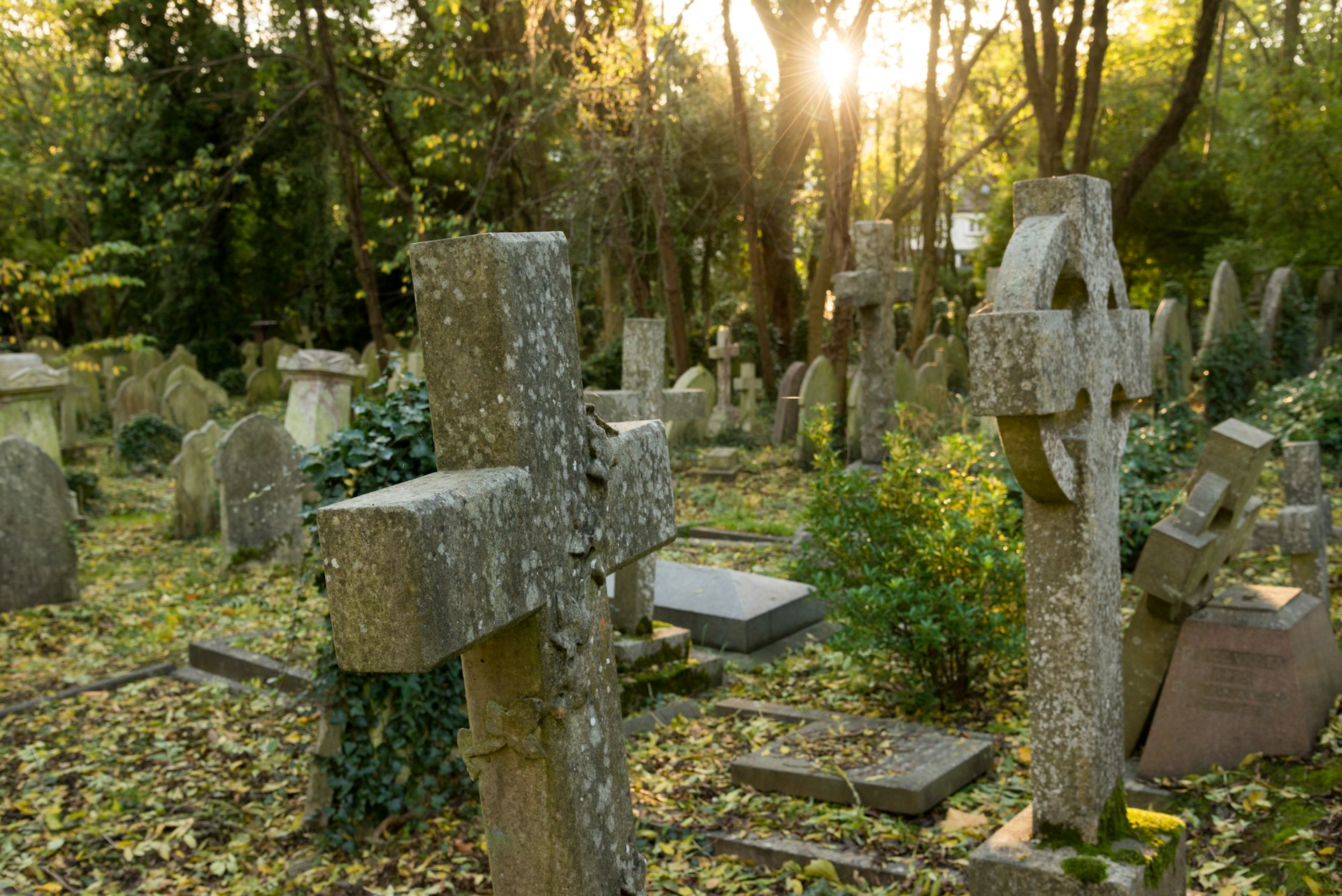 Explore more of London's famous Highgate Cemetery without a guide ...