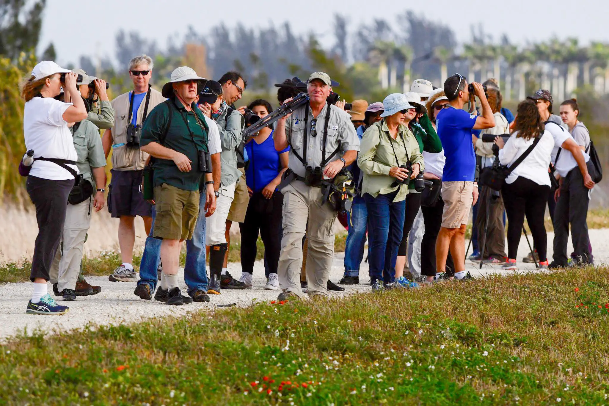 The 7 best places for birdwatching in the US for 2023 - Lonely Planet