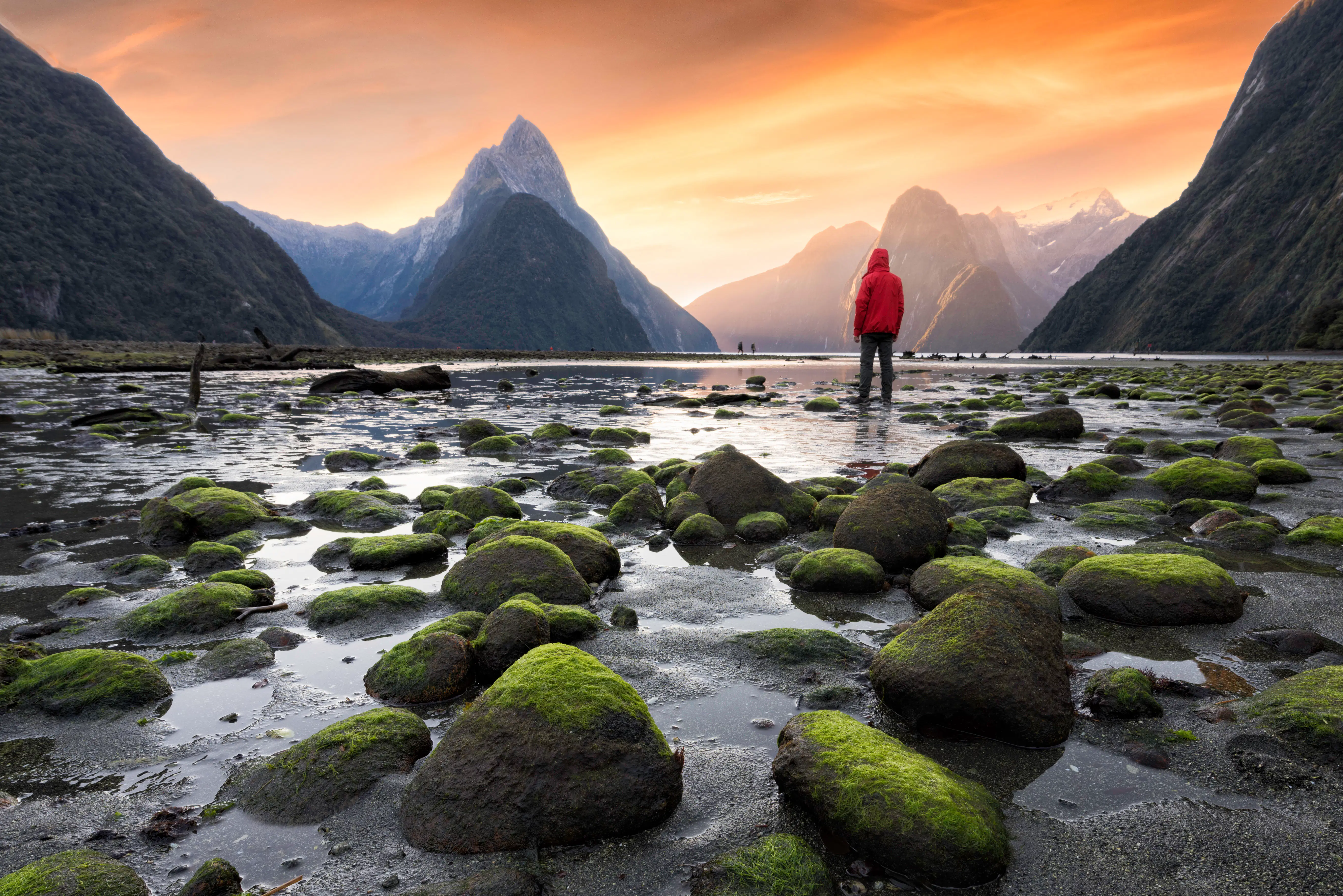 New Zealand travel - Lonely Planet | Australia & Pacific
