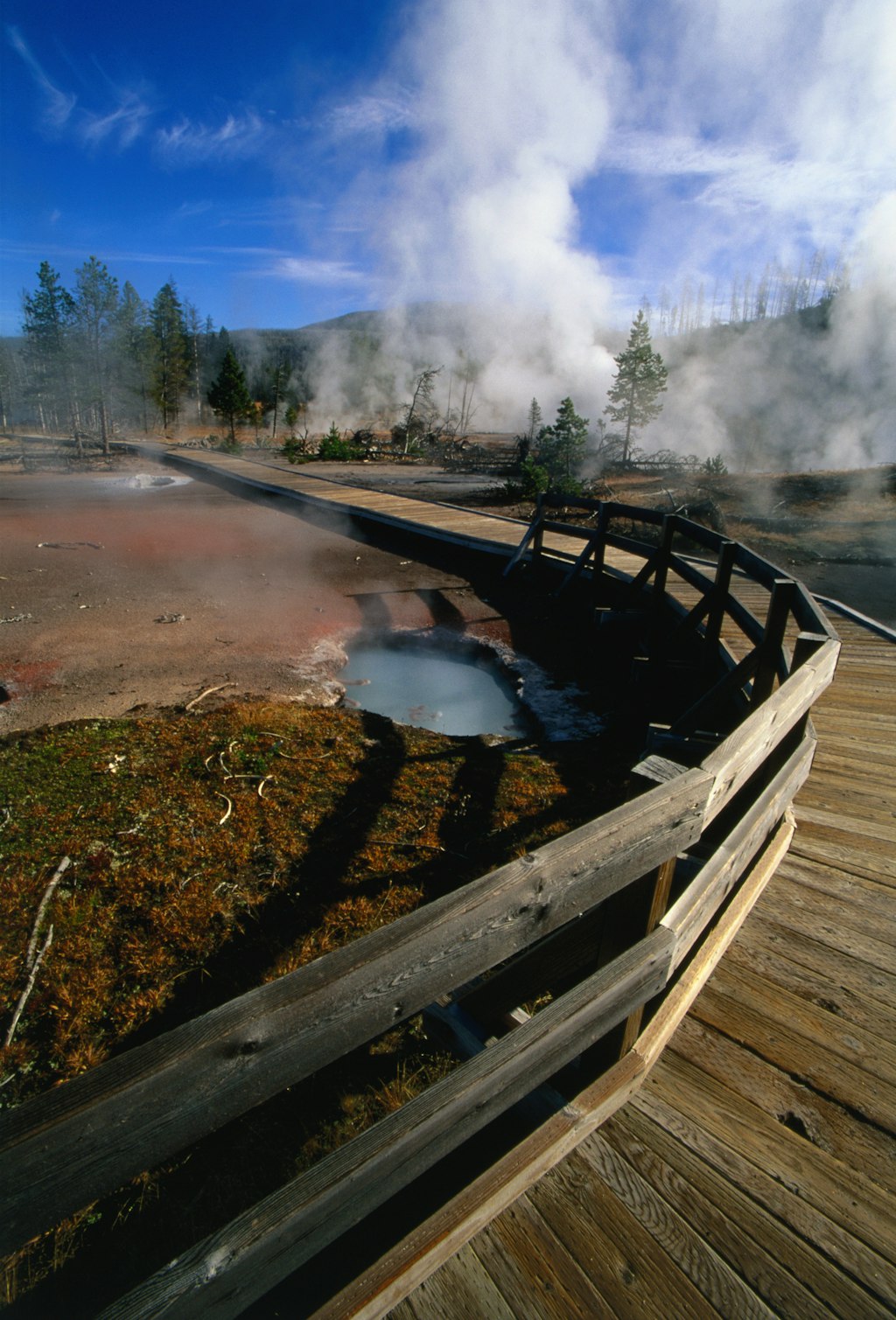 The complete guide to Yellowstone National Park - Lonely Planet