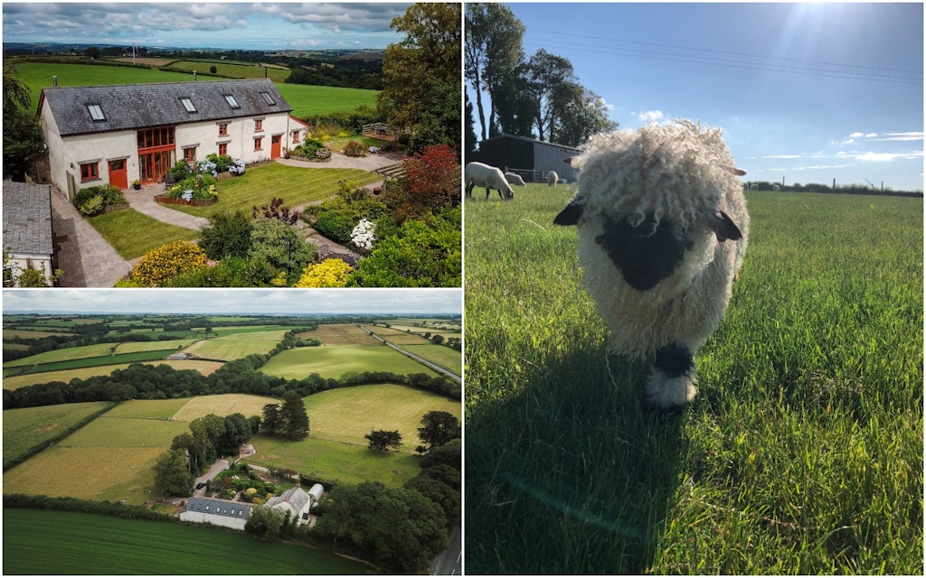 7 farm stays to visit in the UK this year - Lonely Planet