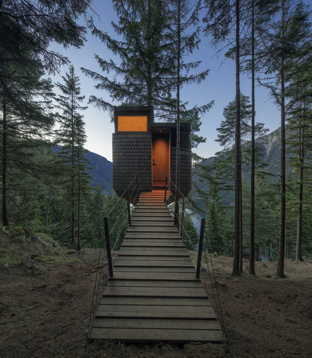 Sleep in a cosy Norwegian forest treehouse overlooking a fjord - Lonely ...