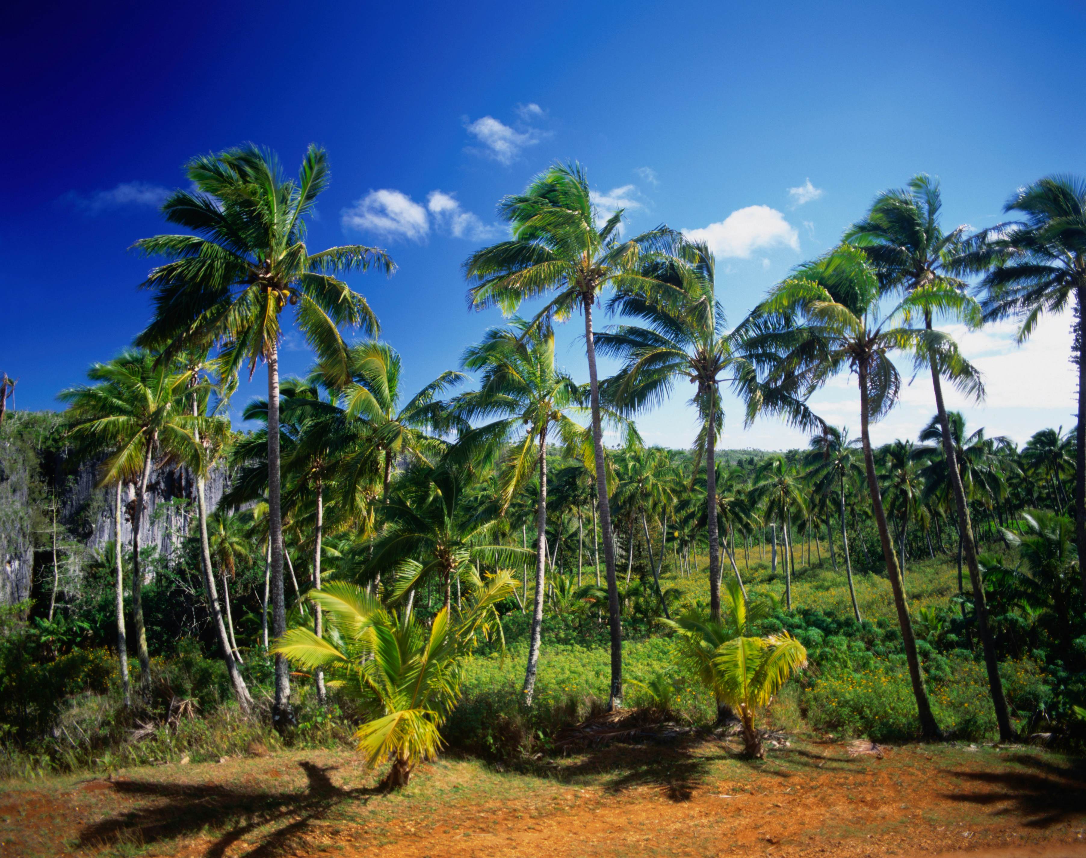 The Cook Islands travel destinations - Lonely Planet
