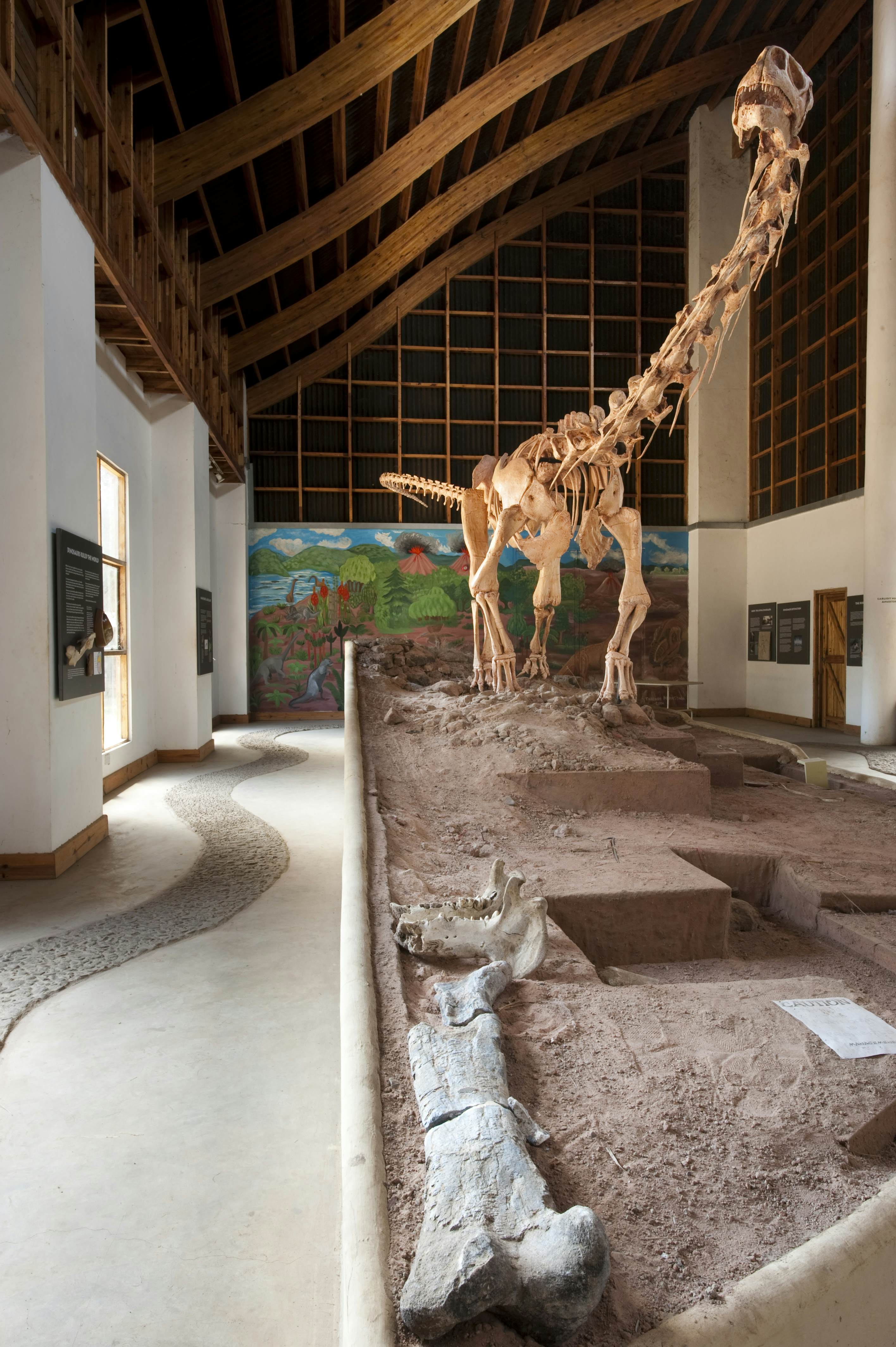 Malawi travel - Lonely Planet | Africa