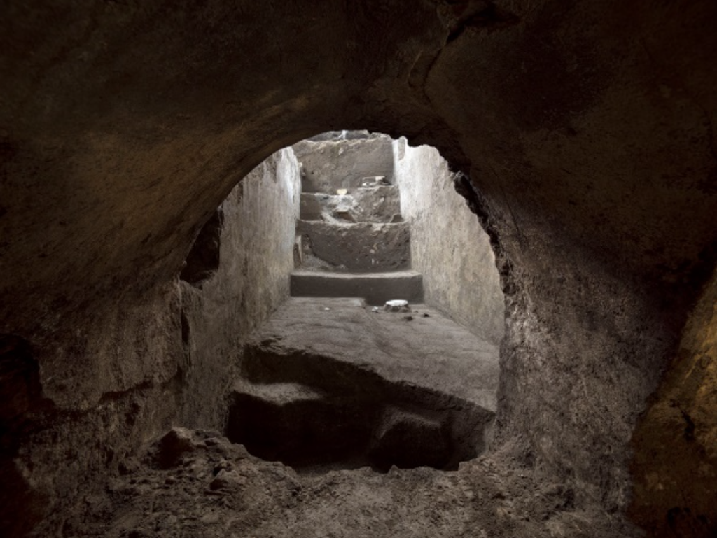 See the new discovery brought to light in Pompeii's excavations ...