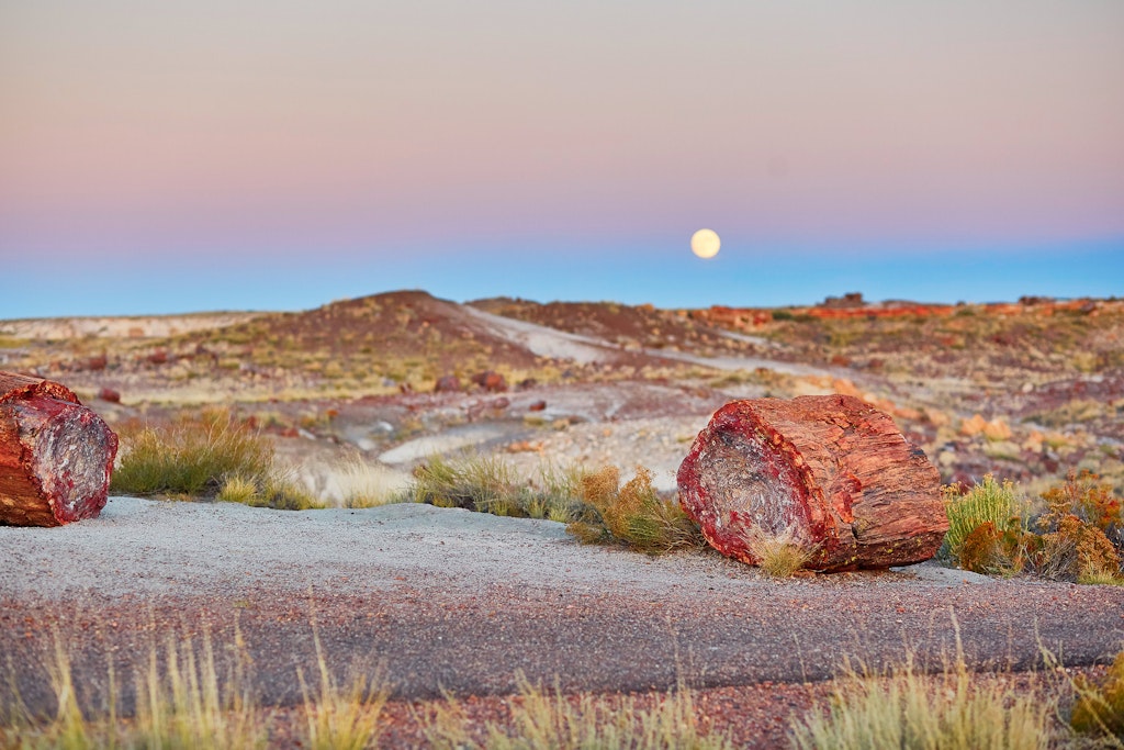 Arizona’s 5 best national parks and monuments to explore - Lonely Planet