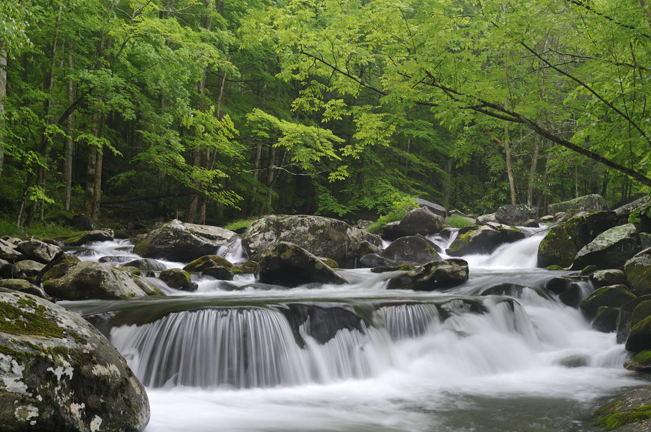 First-timer's guide to Great Smoky Mountains National Park – Lonely ...