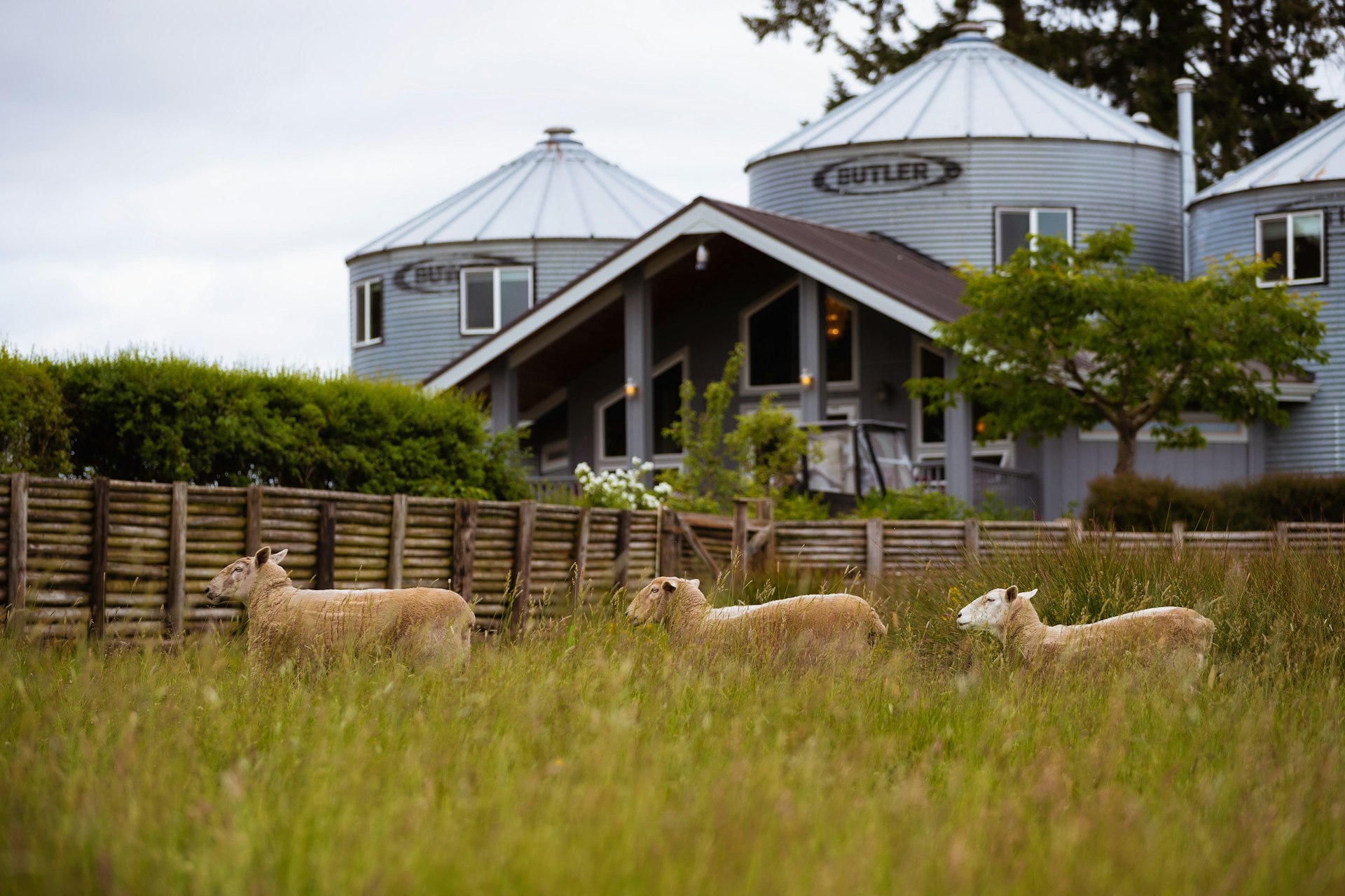 10 top farm stay vacations in the US - Lonely Planet